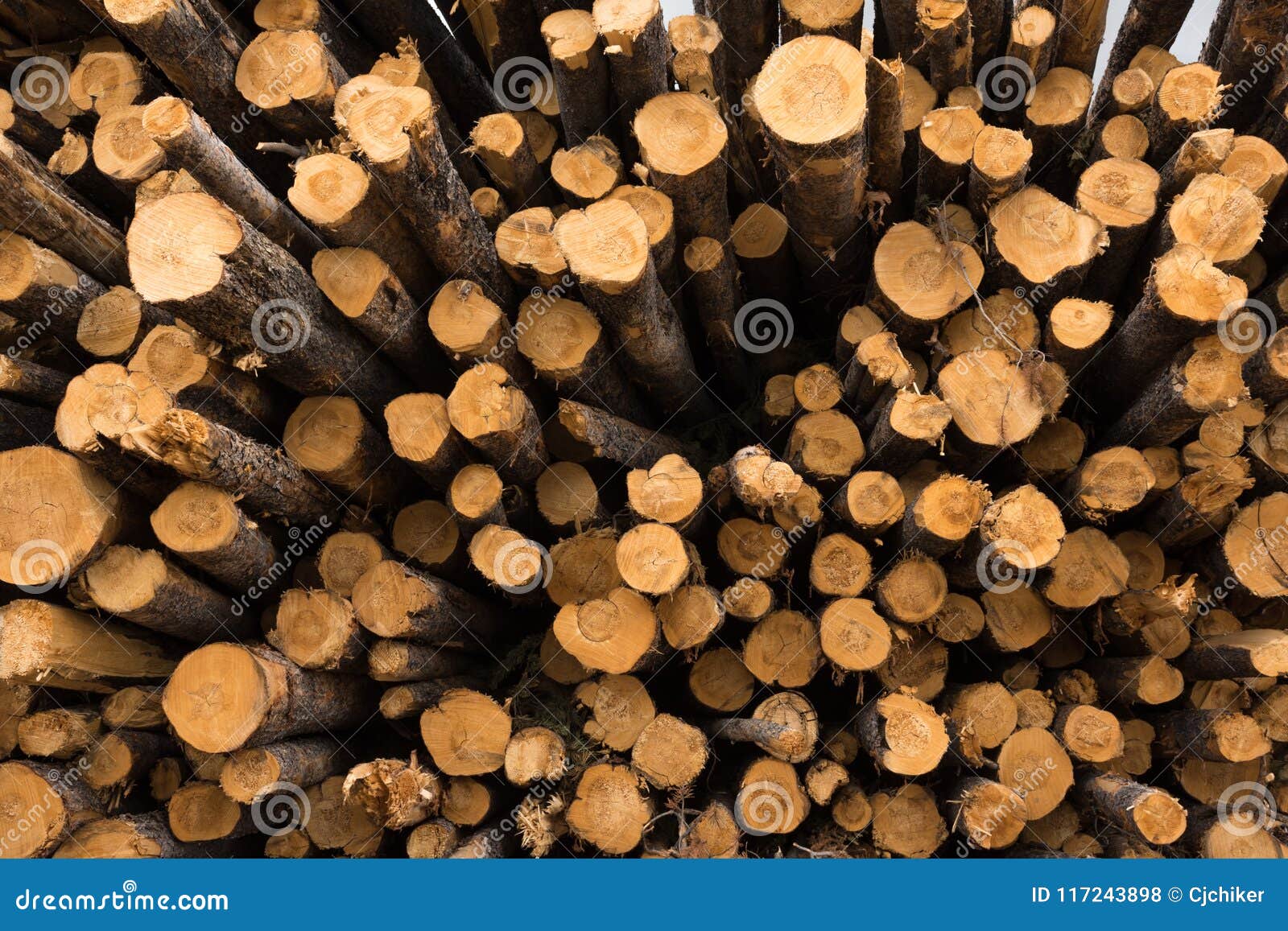 Cut Pine Logs Background Texture Stock Photo - Image of texture, stack ...