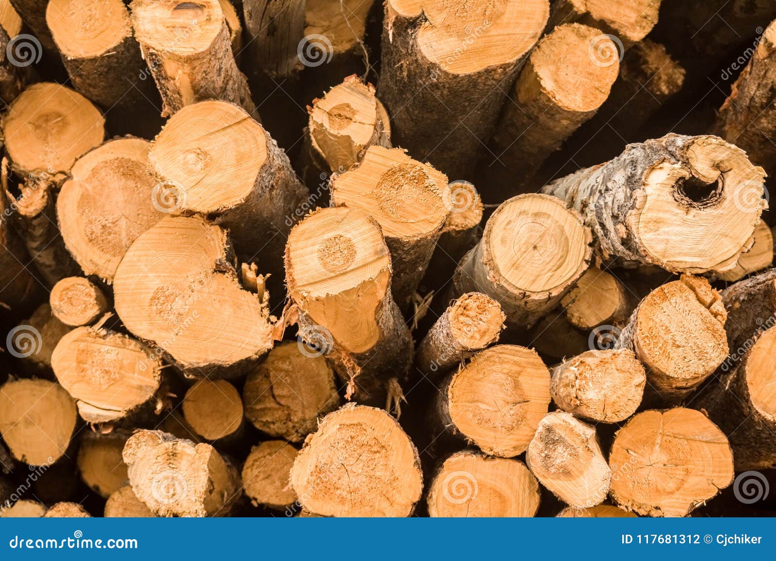 Cut Pine Logs Stack Background Texture Stock Photo - Image of texture ...