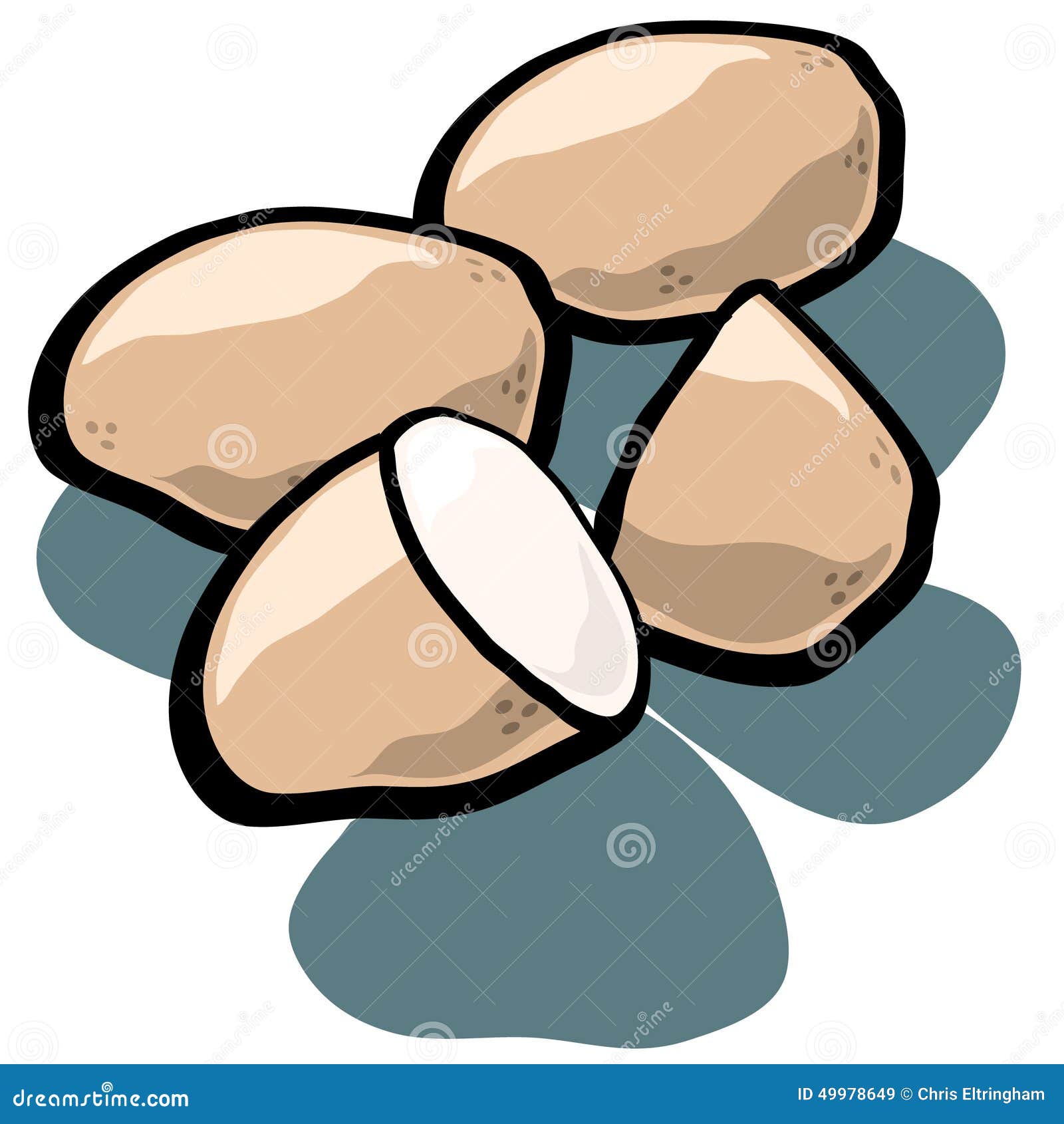 Cut Potatoes stock vector. Illustration of slice, cream - 49978649