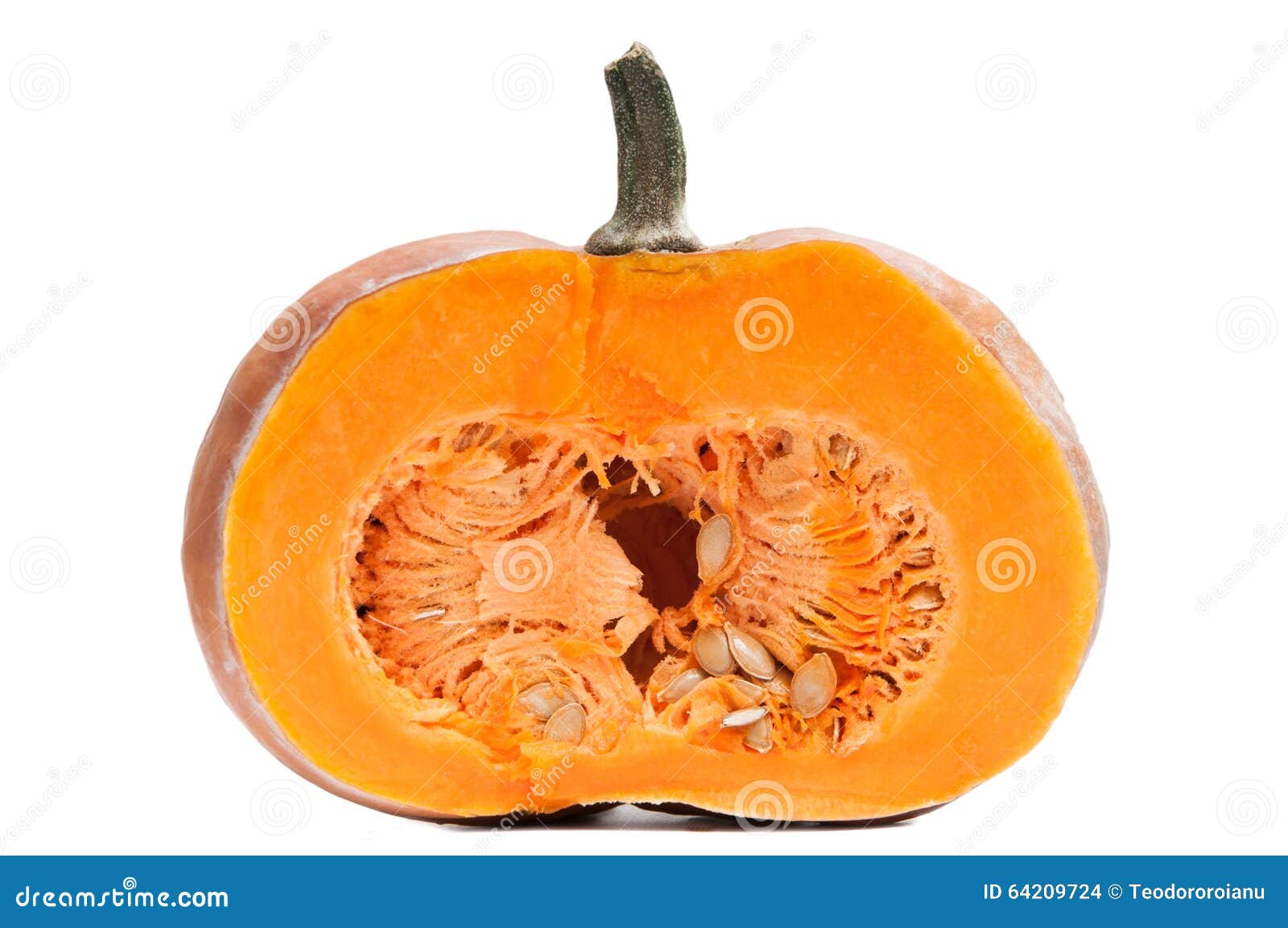 Cut pumpkin stock photo. Image of holiday, produce, autumn - 64209724