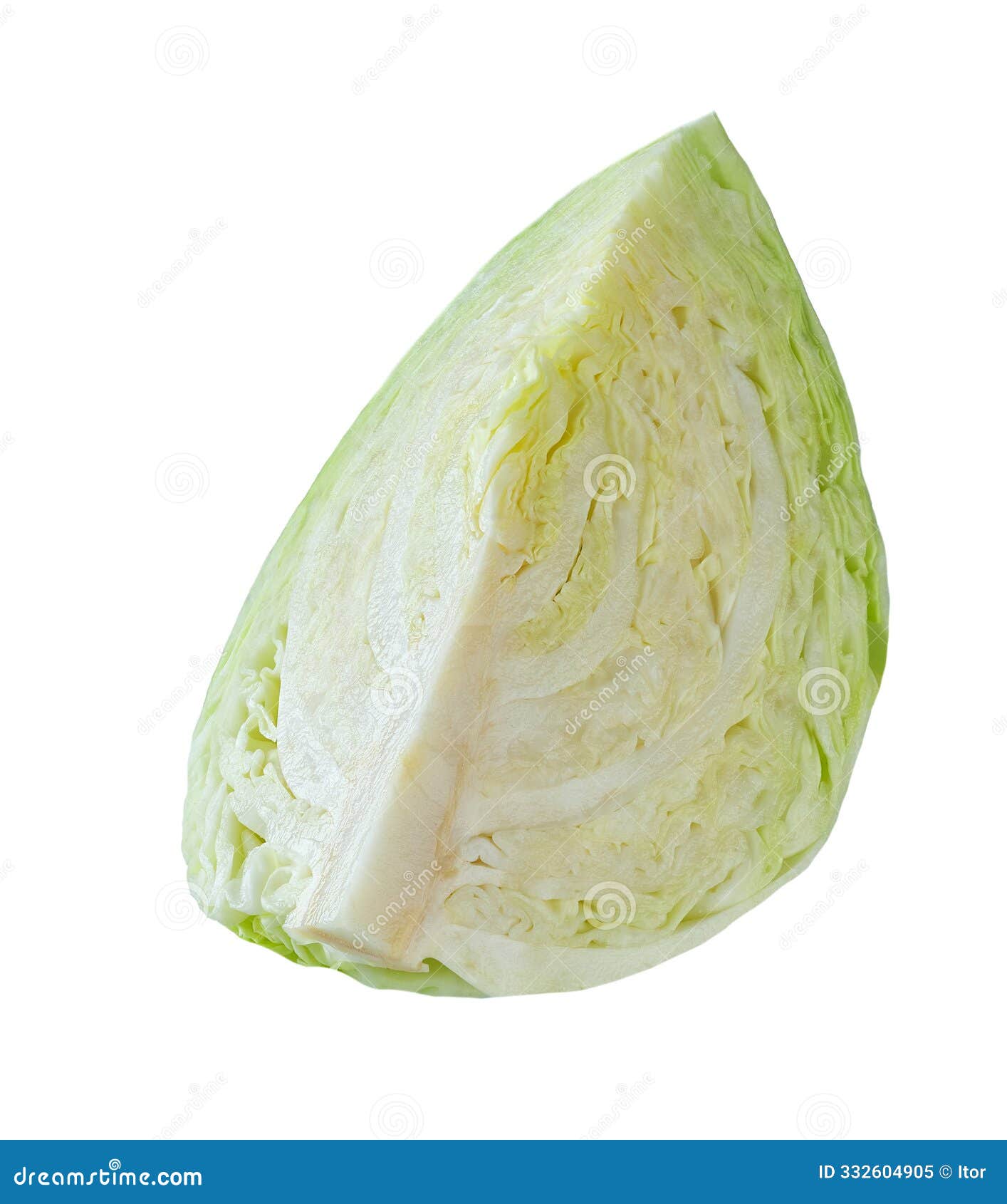 Cut in Quarter Green Cabbage Isolated on White Background Stock Image ...