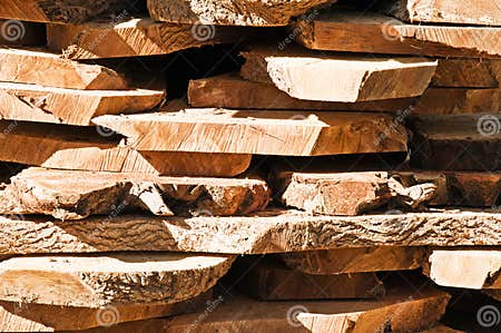 Cut Raw Timber Wood Logs stock photo. Image of materials - 22801422