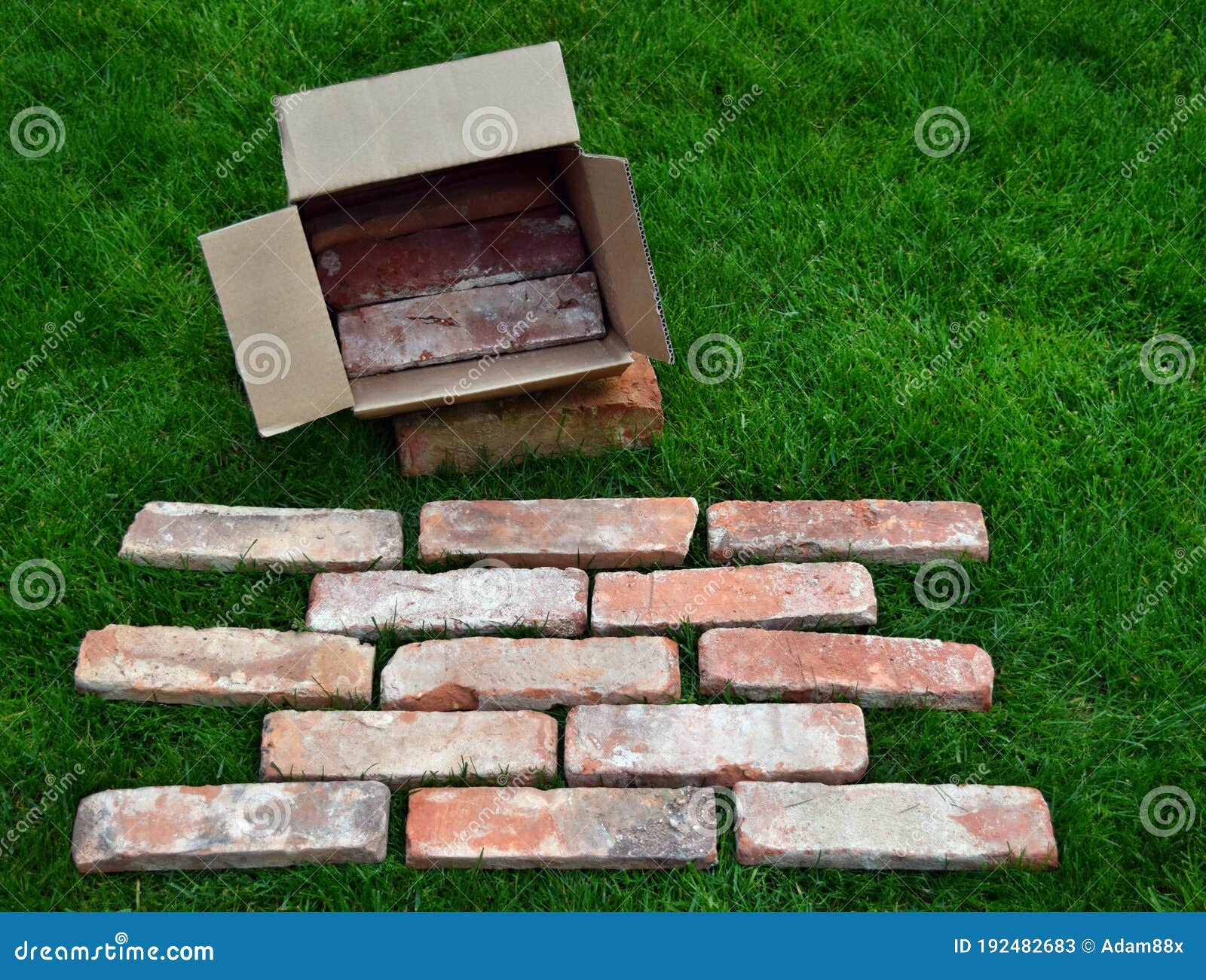 Cut Red Bricks Range in Cardboard Box Stock Image - Image of building ...
