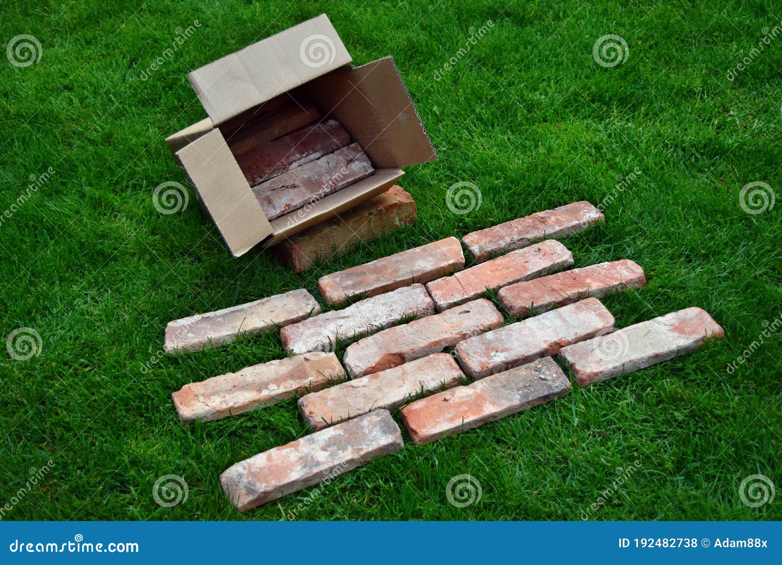Cut Red Bricks Range in Cardboard Box Stock Photo - Image of facade ...