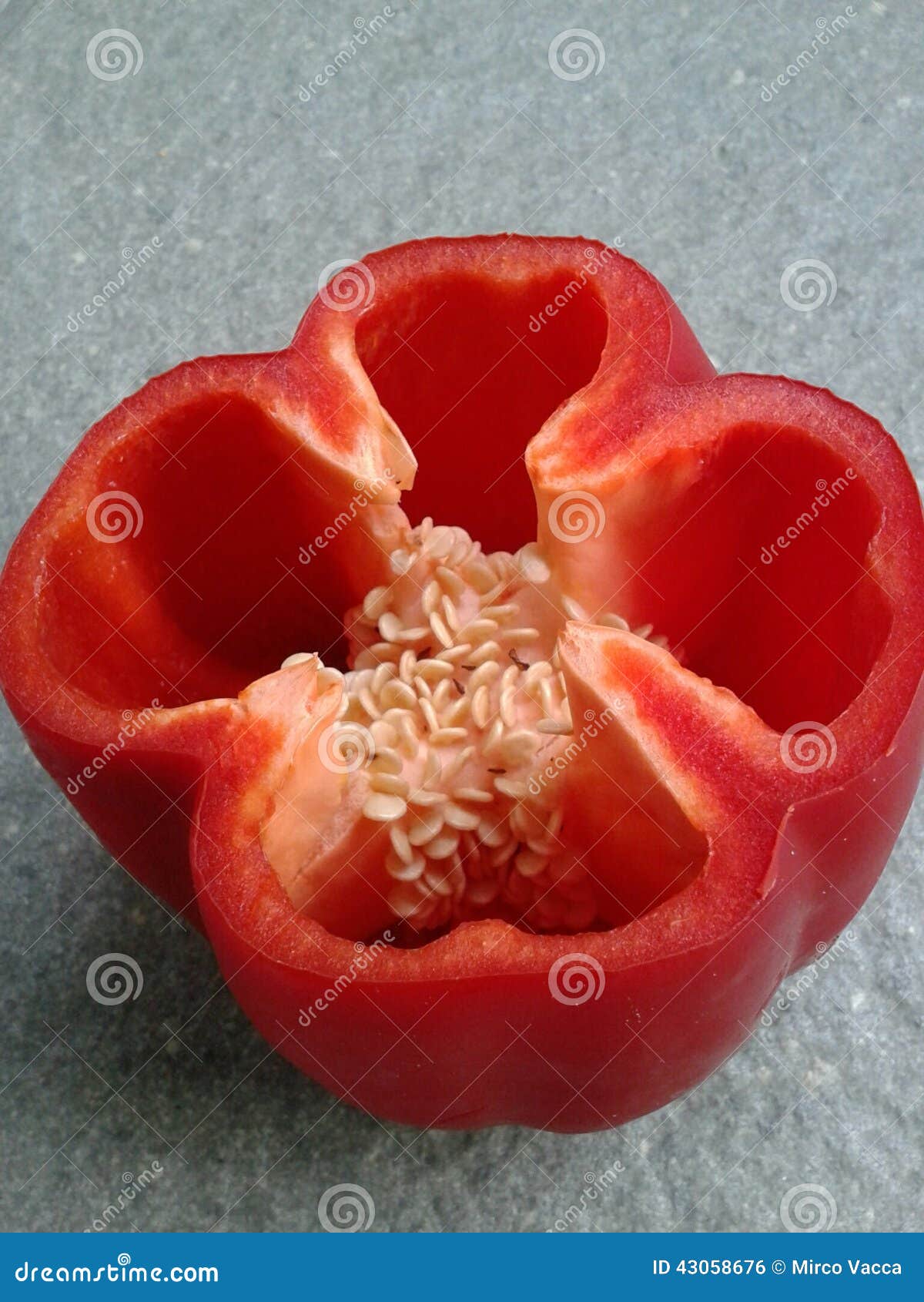 Cut red pepper stock photo. Image of napkins, paper, showing - 43058676