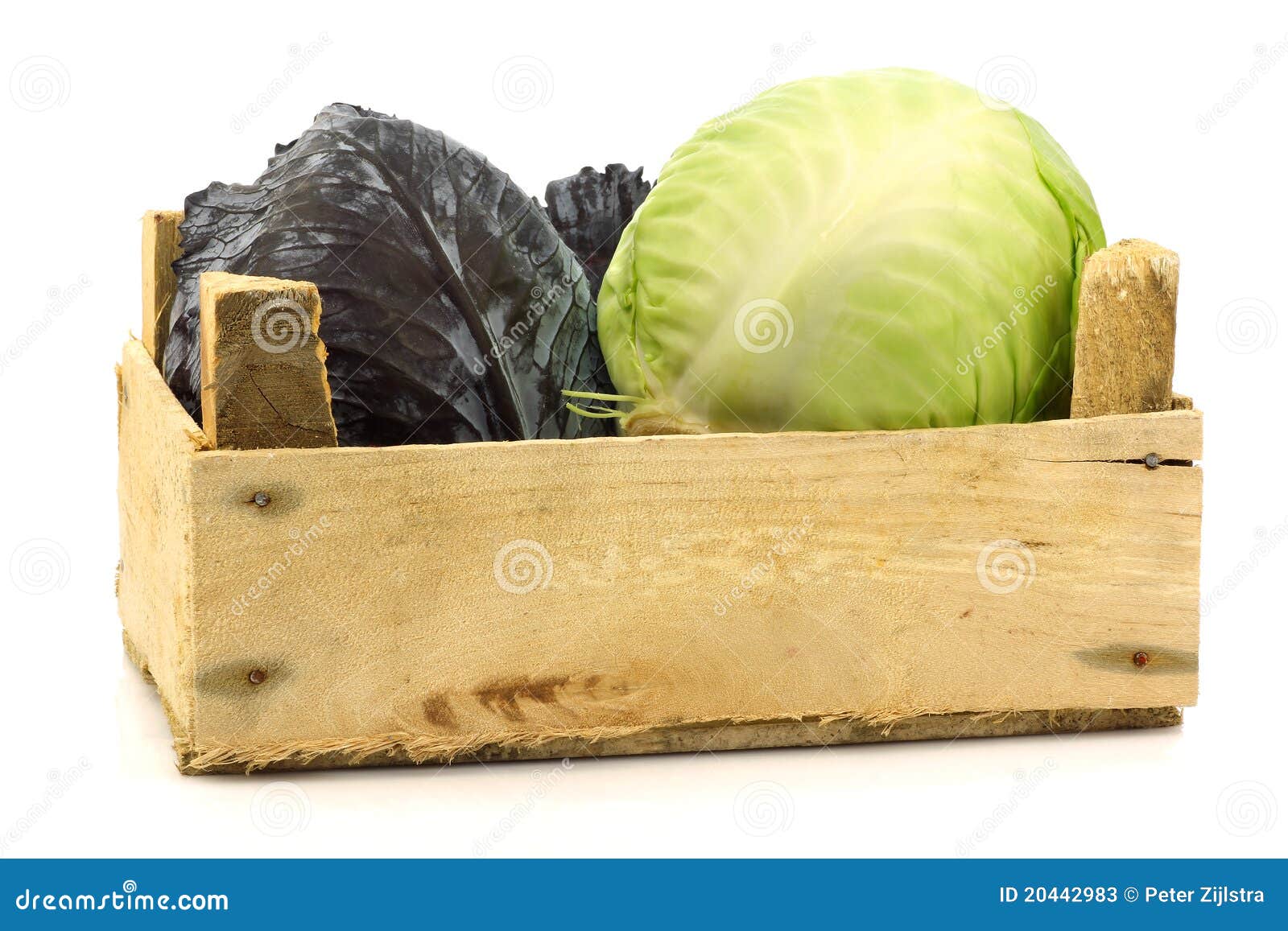 Cut Red and White Cabbage in a Wooden Box Stock Image - Image of ...
