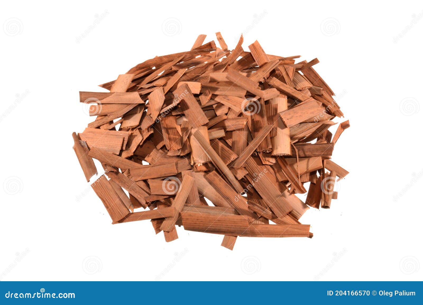 Cut Reed Leaves Isolated on White Background Stock Photo - Image of ...