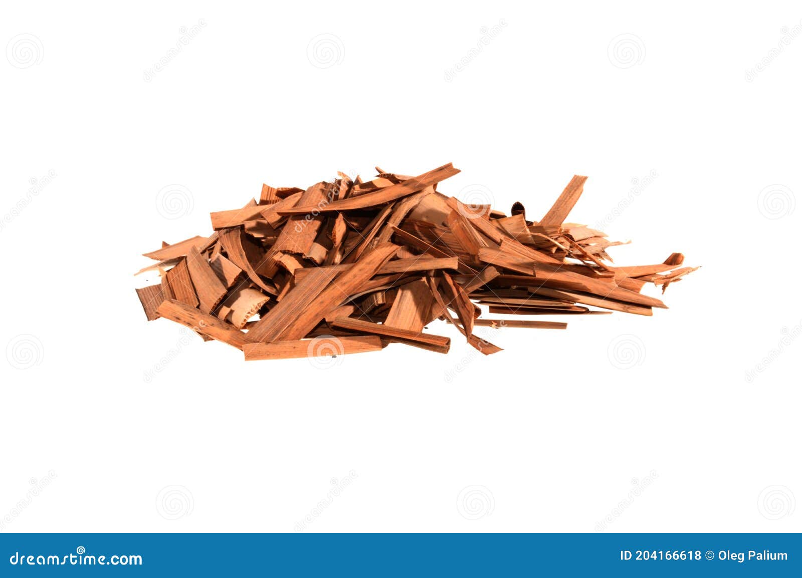 Cut Reed Leaves Isolated on White Background Stock Photo - Image of ...