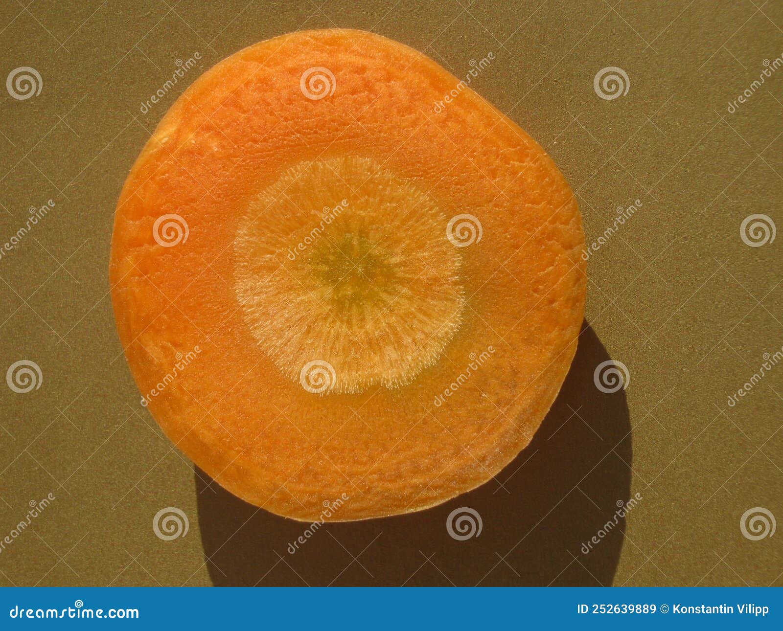 Carrot cutoff stock image. Image of slice, vegetable - 252639889