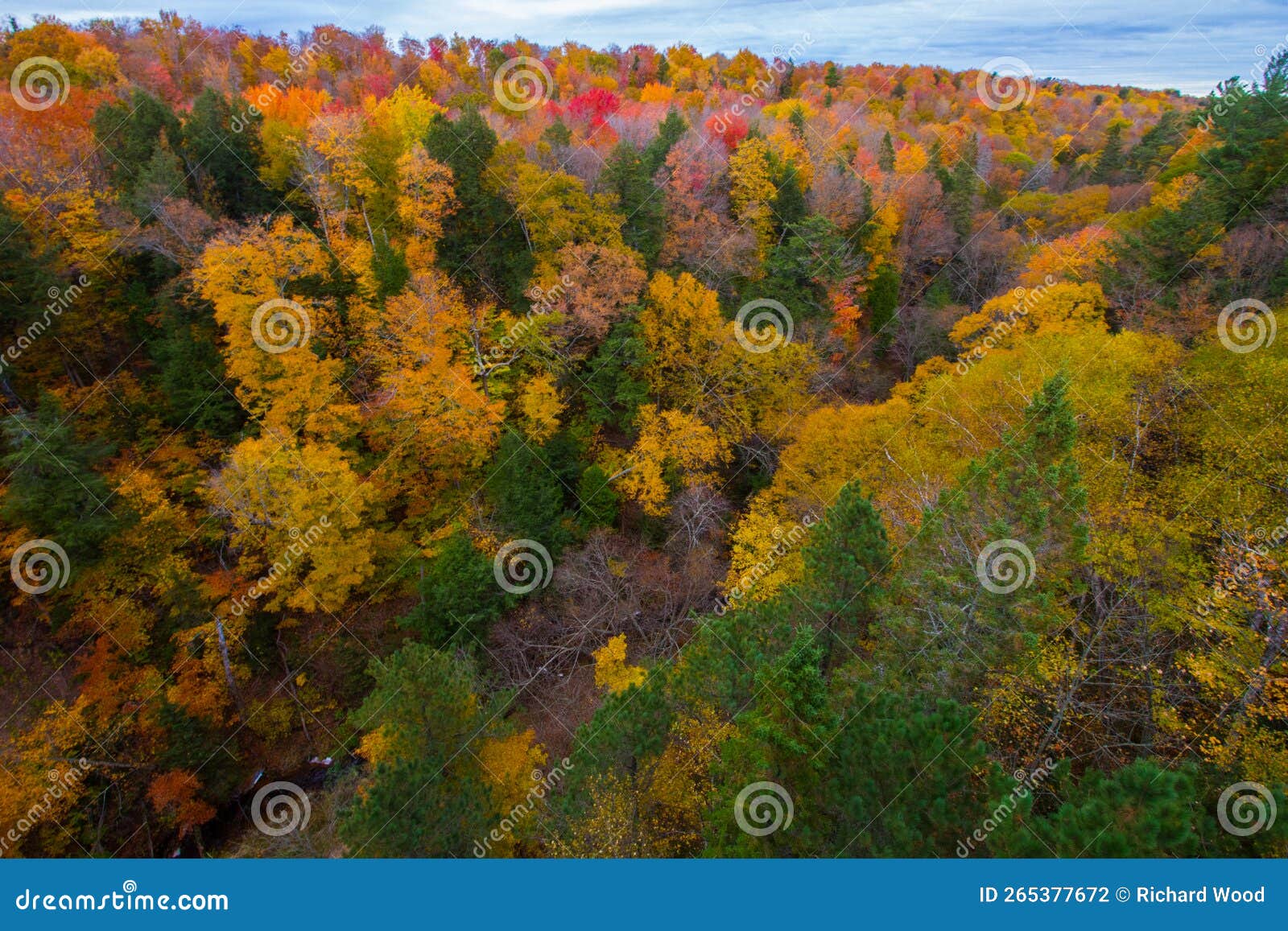 Cut River Valley, Upper Peninsula, Michigan in Autumn Stock Photo ...