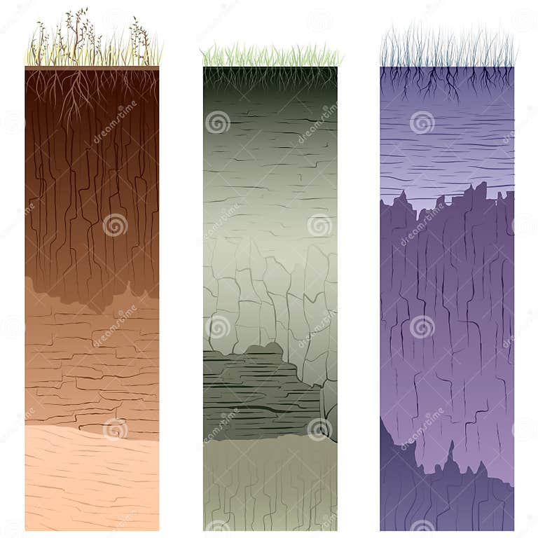 Cut of Soil Columns (profile). Stock Vector - Illustration of geology ...