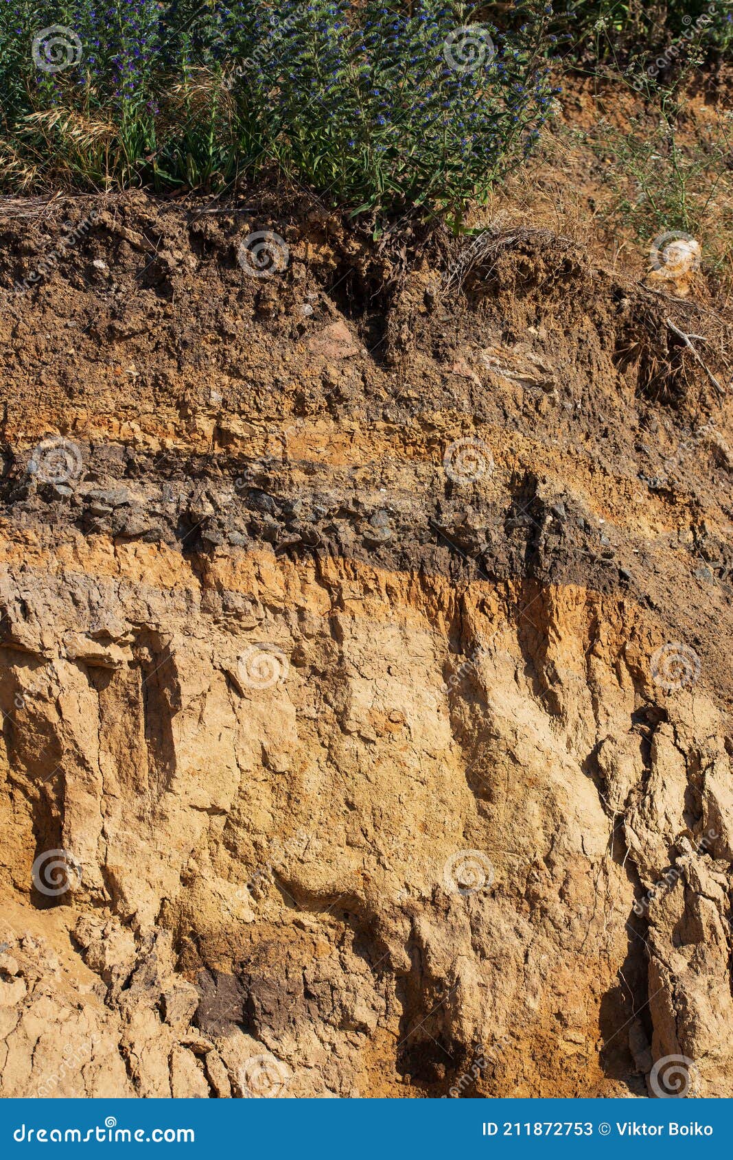Land on a Cut with a View of Layers in the Depth of the Soil Stock ...