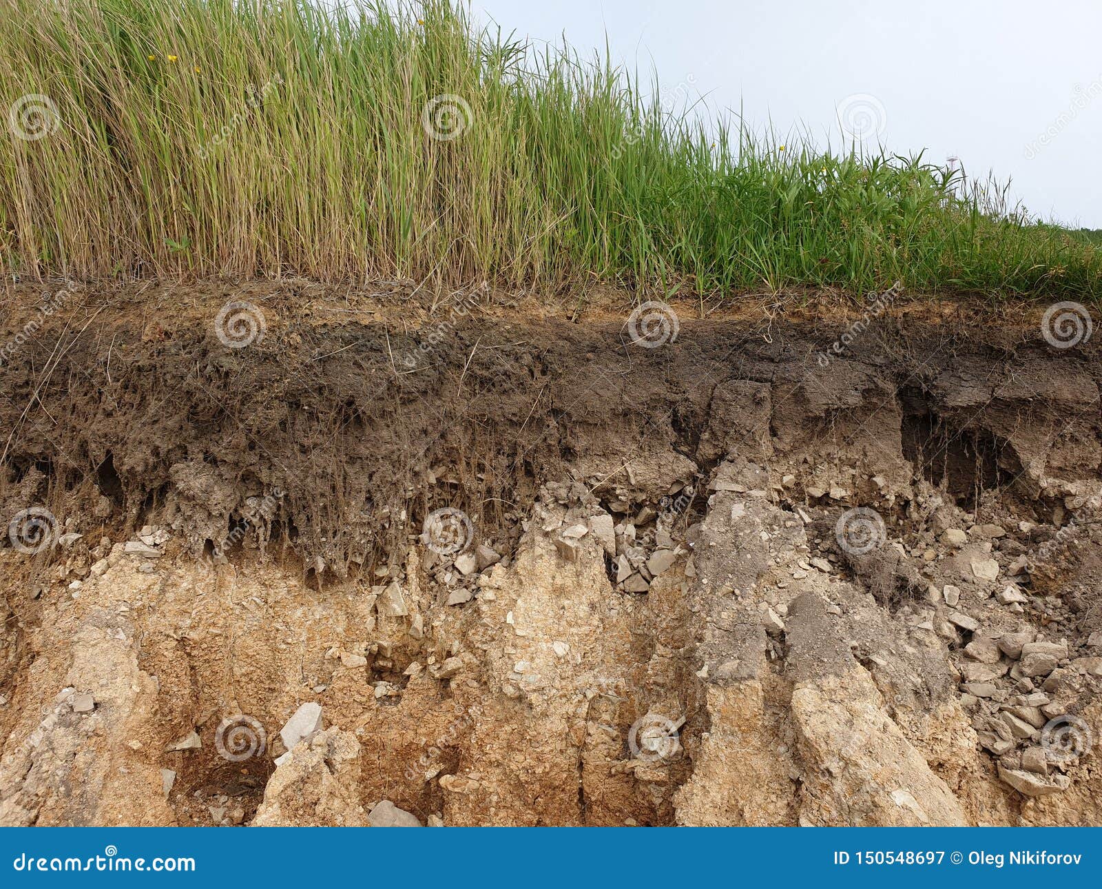 3,816 Soil Grass Cut Stock Photos - Free & Royalty-Free Stock Photos ...