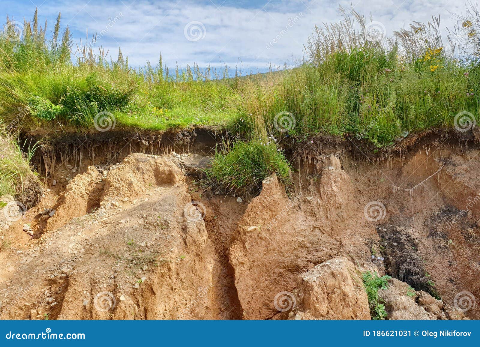 Cut of soil and grass stock image. Image of turf, earth - 186621031