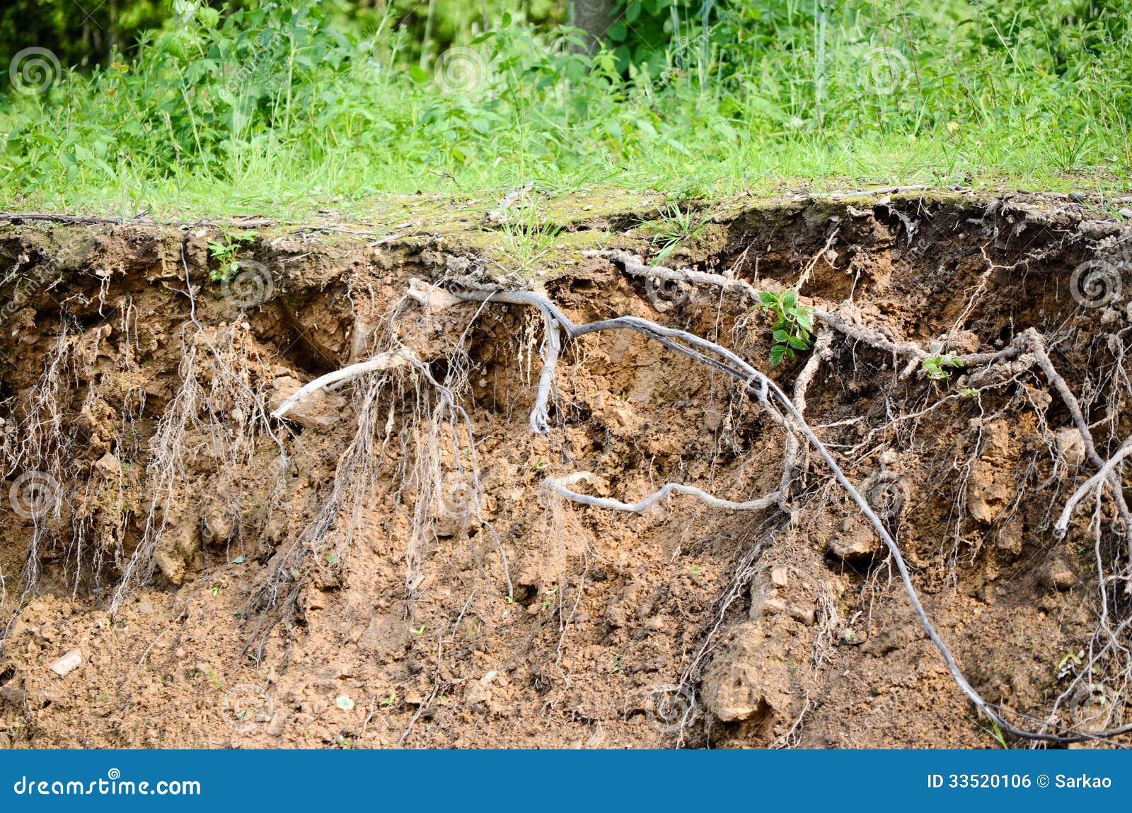Cut of soil stock photo. Image of layers, geology, clay - 33520106