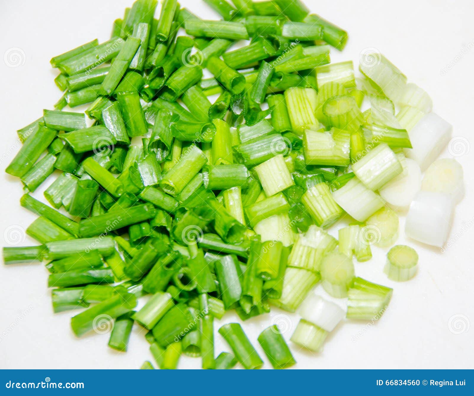 Cut spring onion stock photo. Image of kitchen, slicing - 66834560