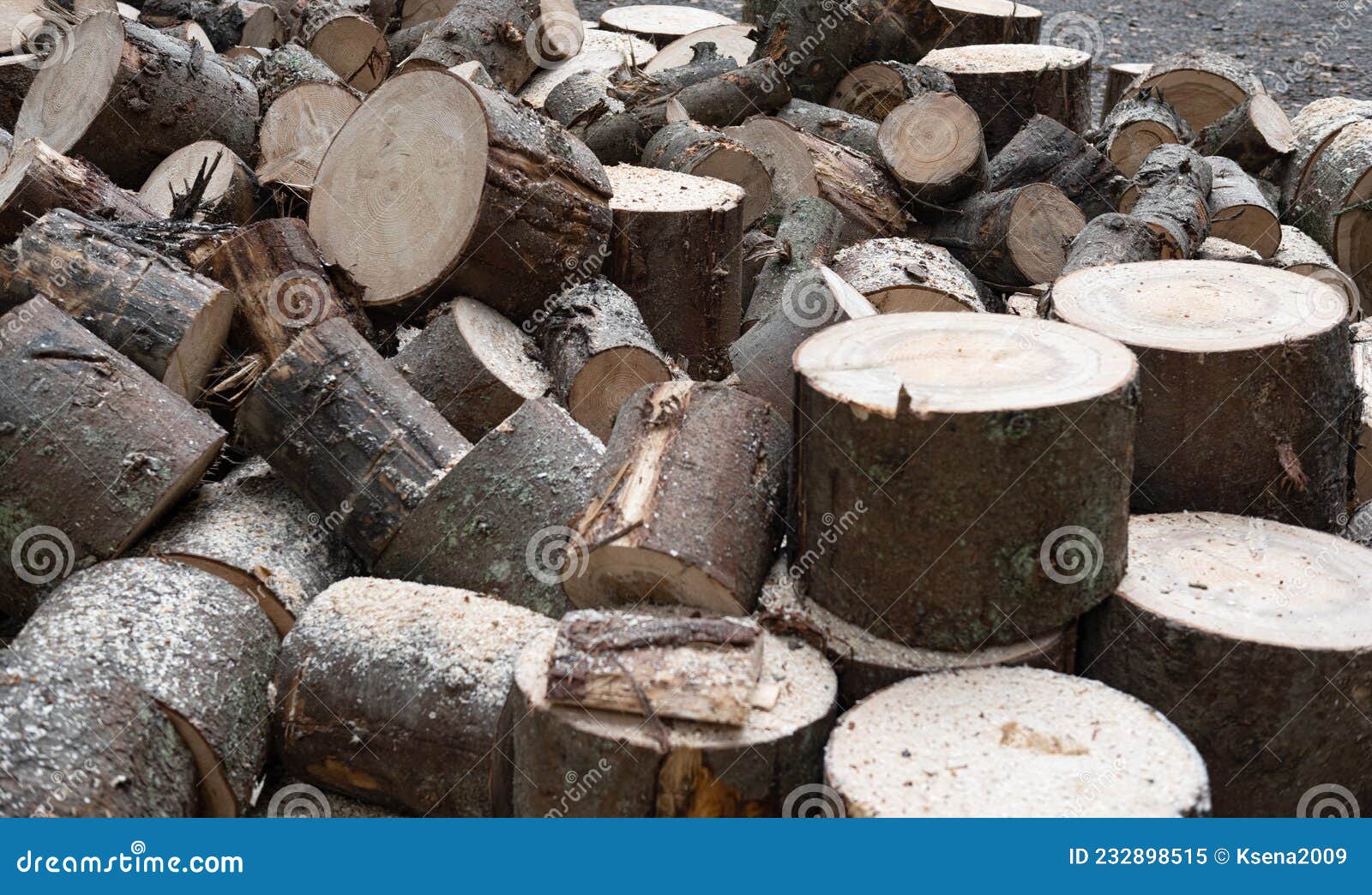 Cut spruce tree close up stock image. Image of energy - 232898515