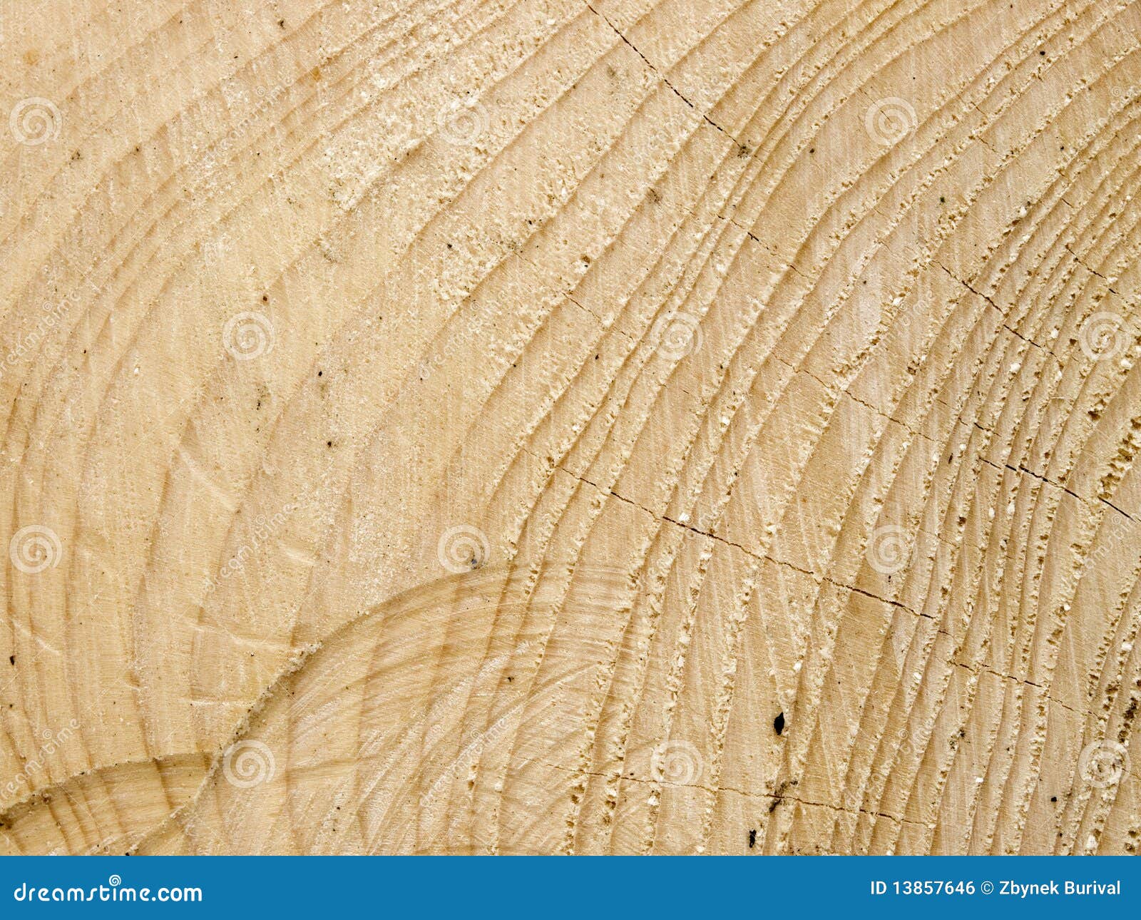 Spruce Wood On The Background Royalty-Free Stock Photography ...