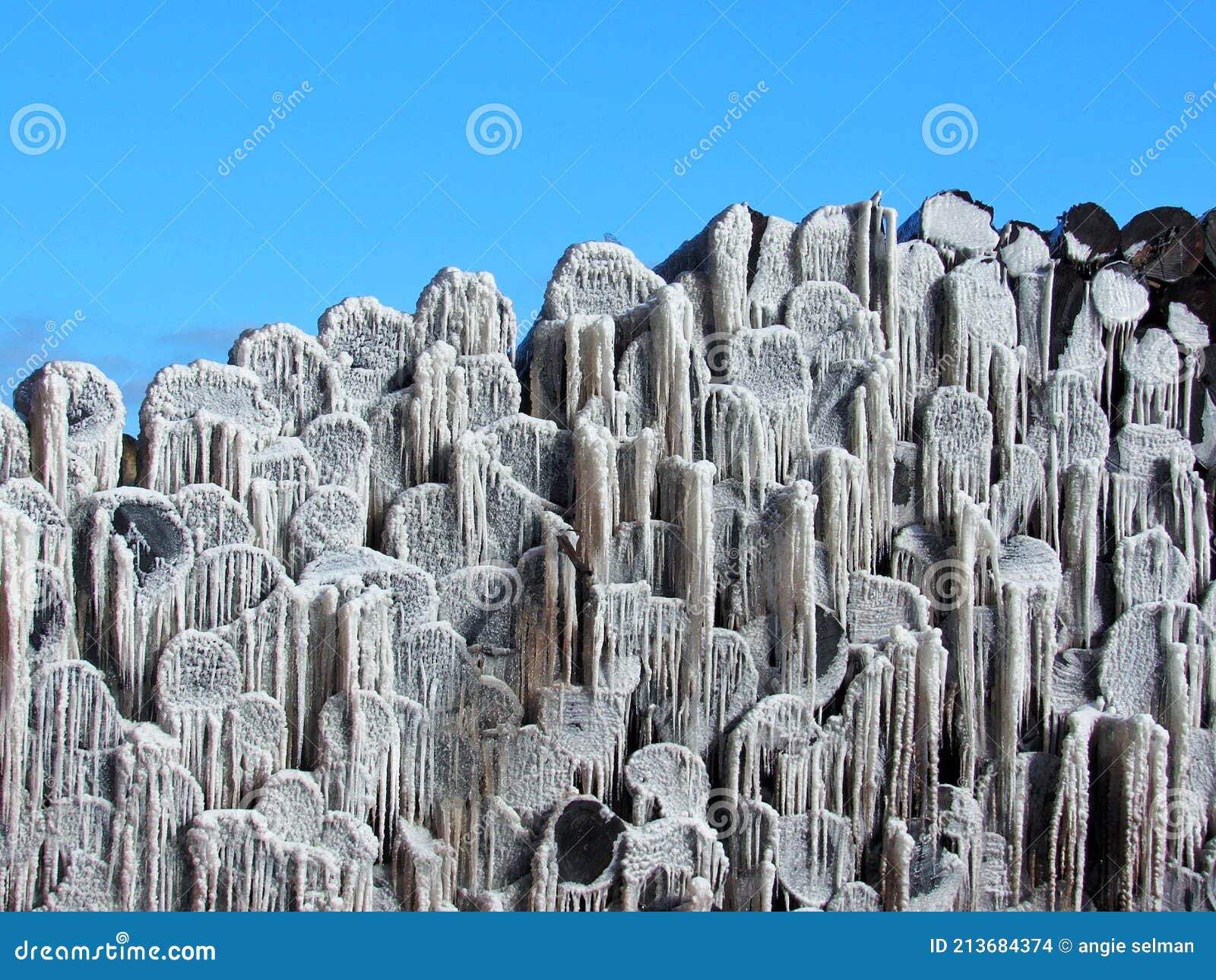 Cut Stack of Cut Trees Covered in Ice Cycles Stock Photo - Image of ...