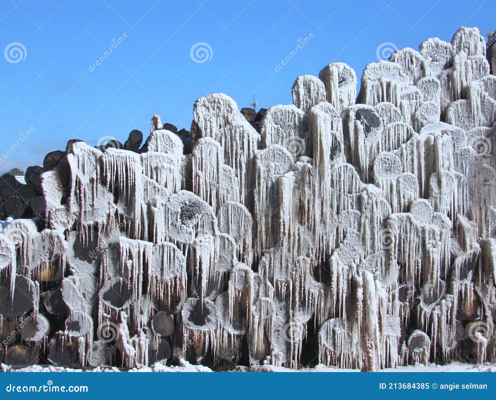 Cut Stack of Cut Trees Covered in Ice Cycles Stock Image - Image of ...