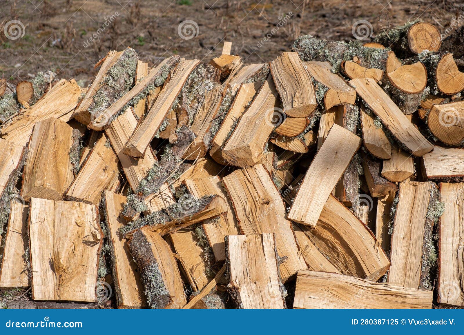 Cut and Stacked Oak Firewood Stock Image - Image of bark, trunk: 280387125
