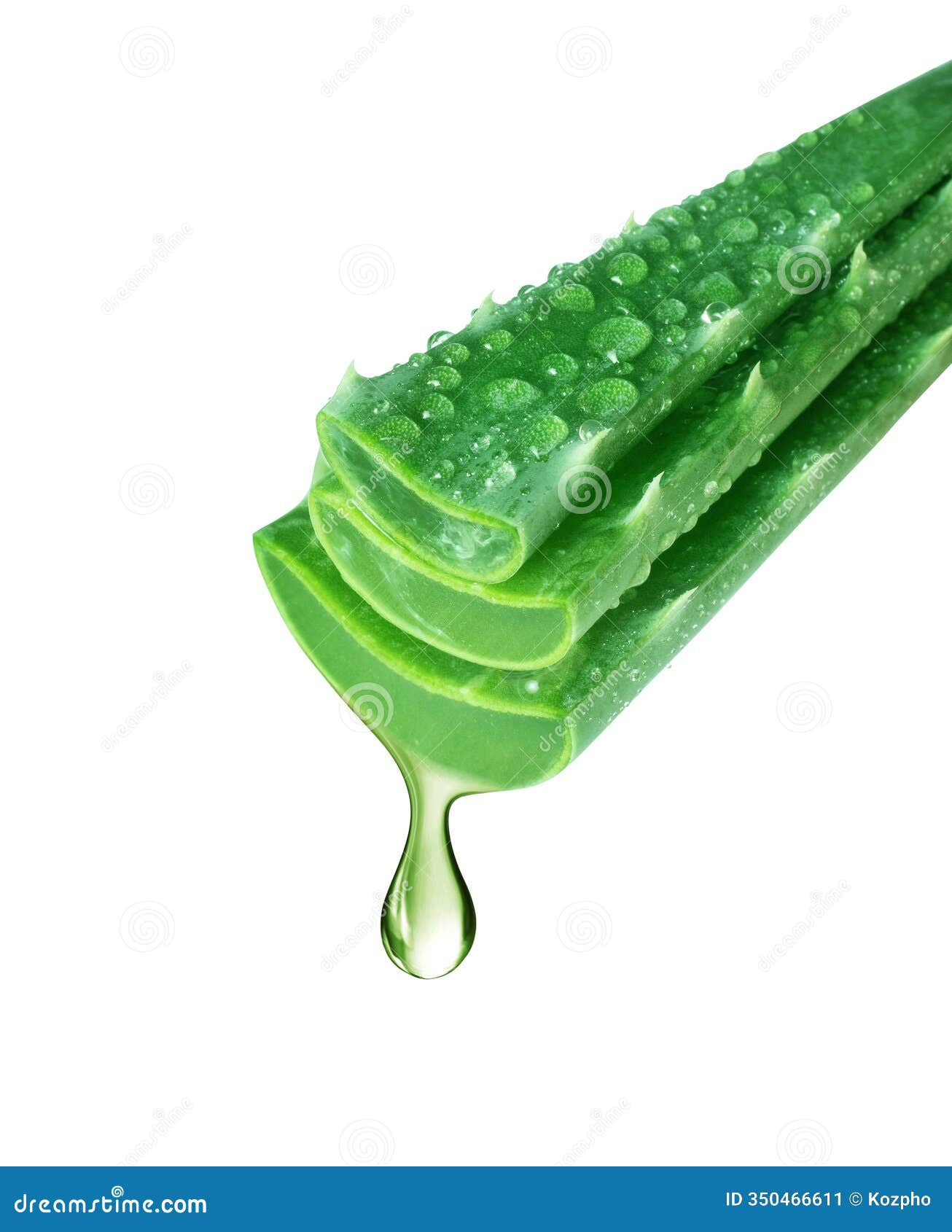Cut Stems of Aloe Vera with Drop of Juice Close Up on a White ...