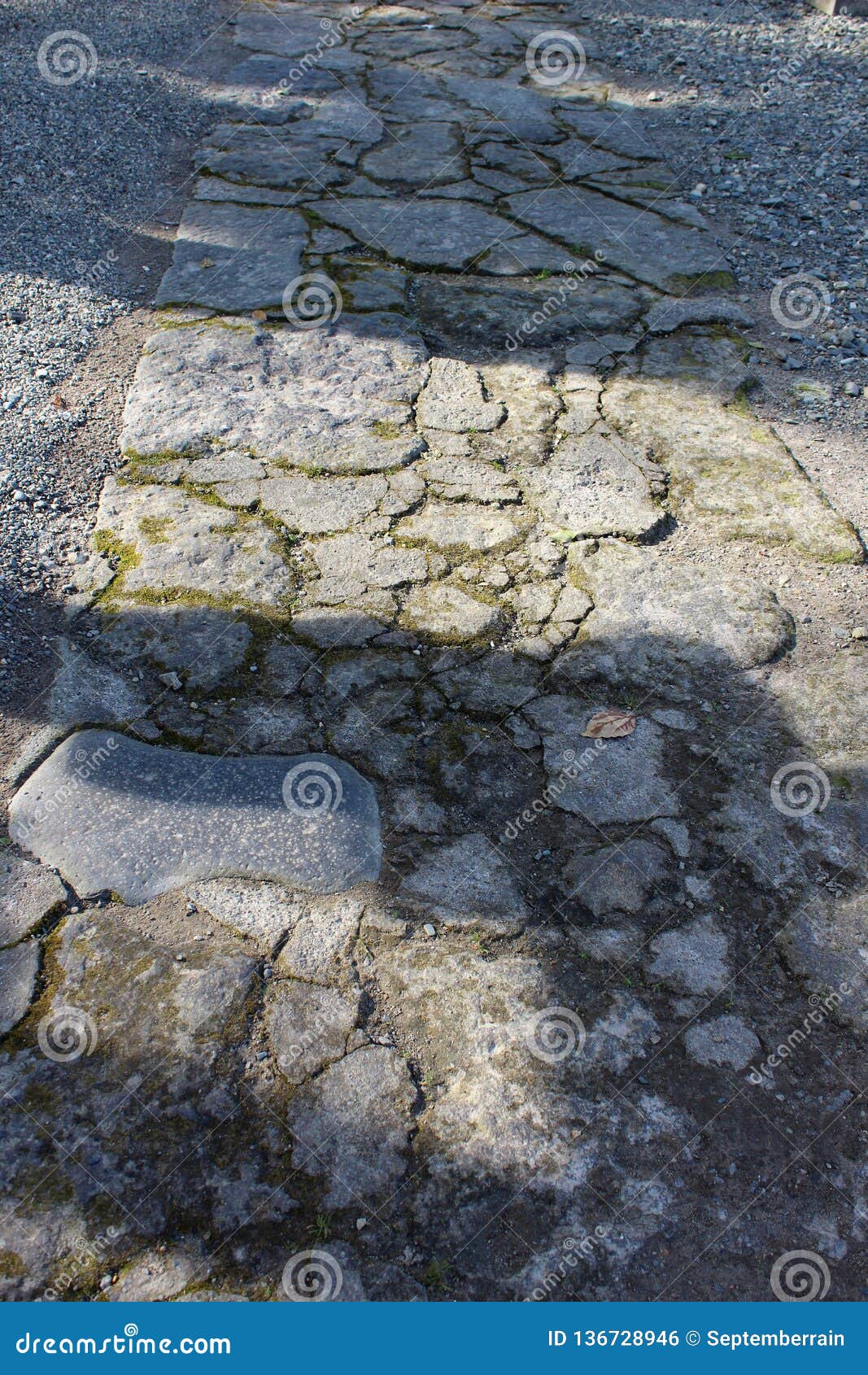 Cut Stone Path at a Japanese Shrine Stock Photo - Image of location ...
