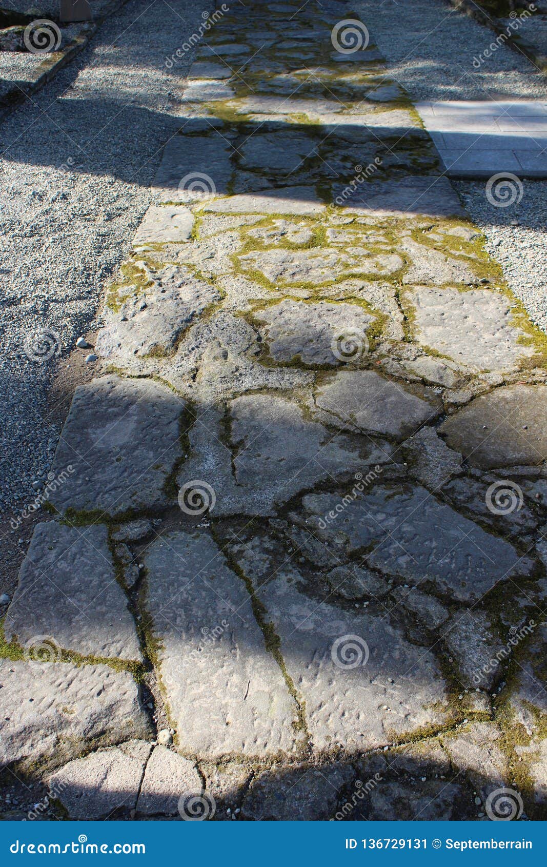 Cut Stone Path at a Japanese Shrine Stock Image - Image of natural ...