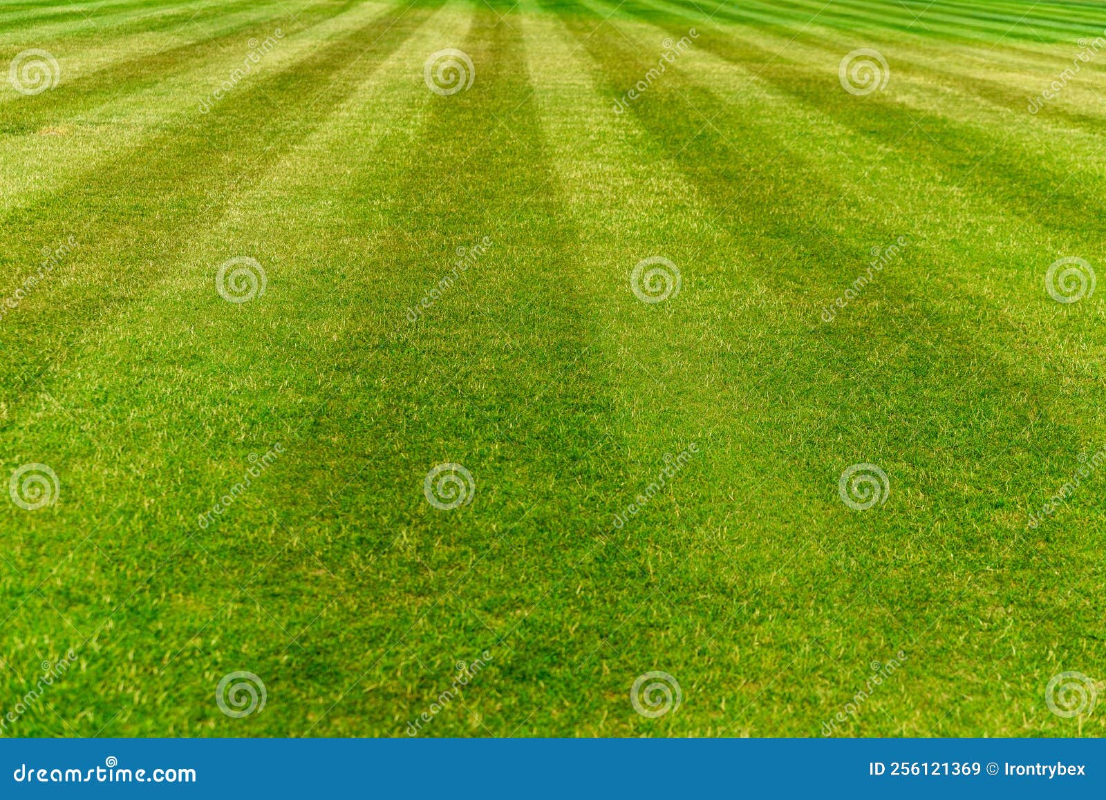 Cut Stripes on the Field, Green Turf Stock Image - Image of landscaping ...