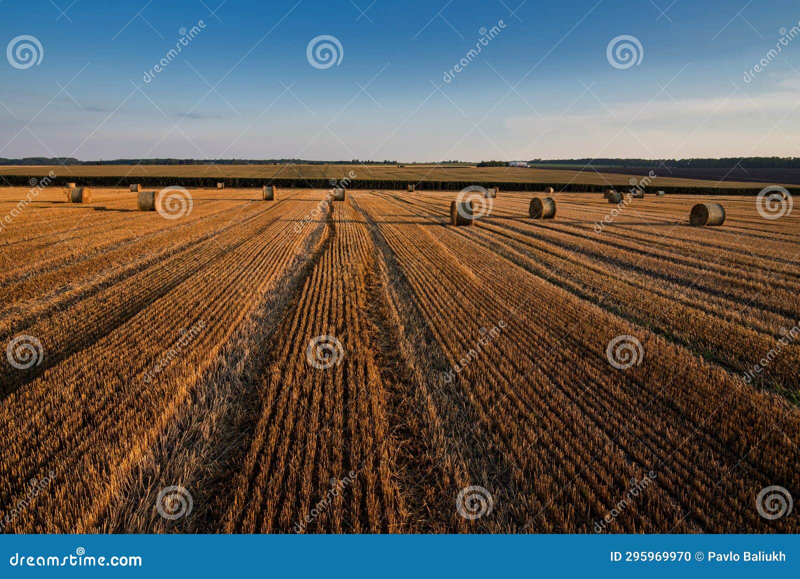 Top View on Field with Stubble Lines and Straw Rolls Stock Photo ...