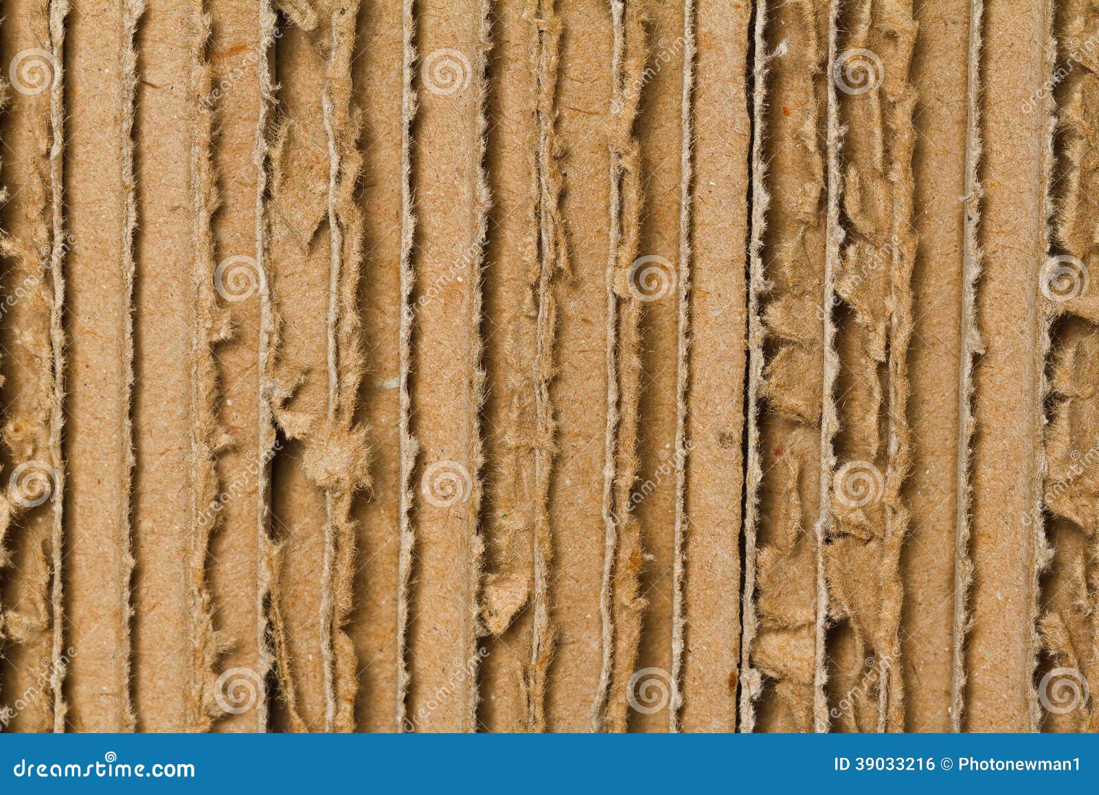 Cut Surface Of The Carton. Royalty-Free Stock Photography ...