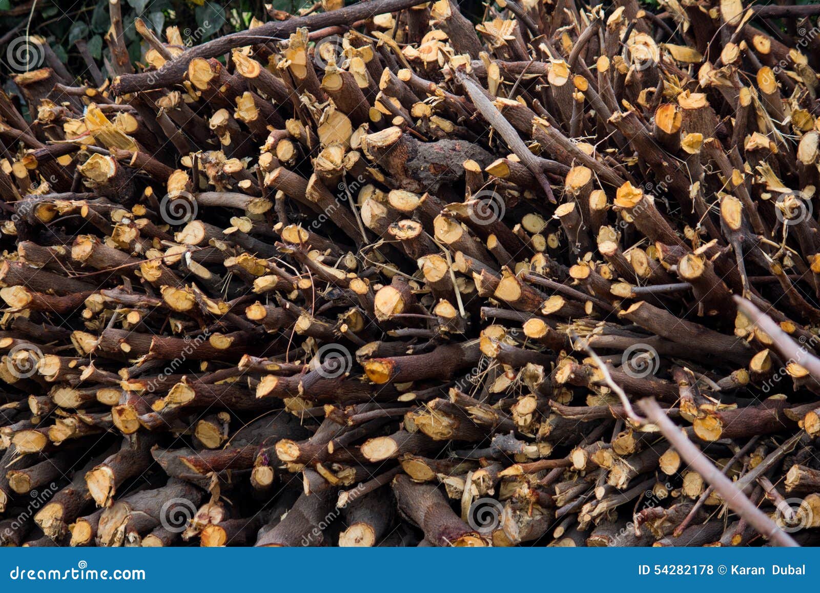 Cut Timber Tree Branches Royalty-Free Stock Image | CartoonDealer.com ...