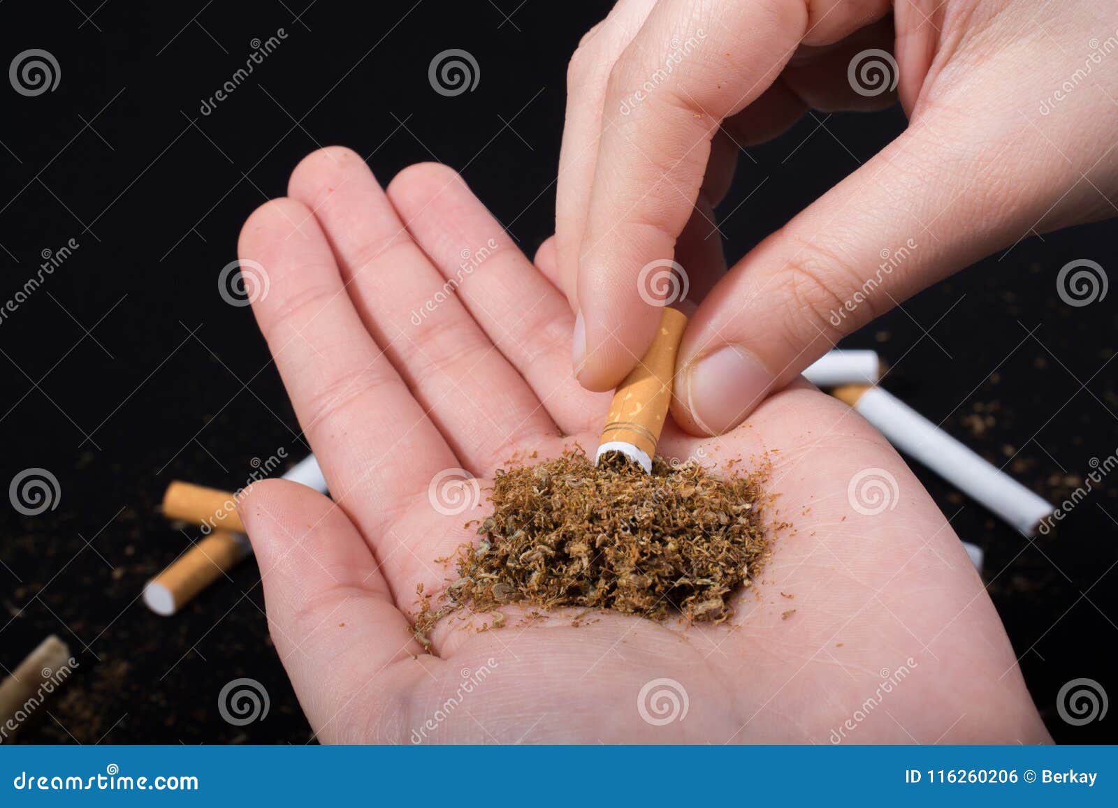 Cut Tobacco in Hand As Smoking Concept Stock Photo - Image of health ...