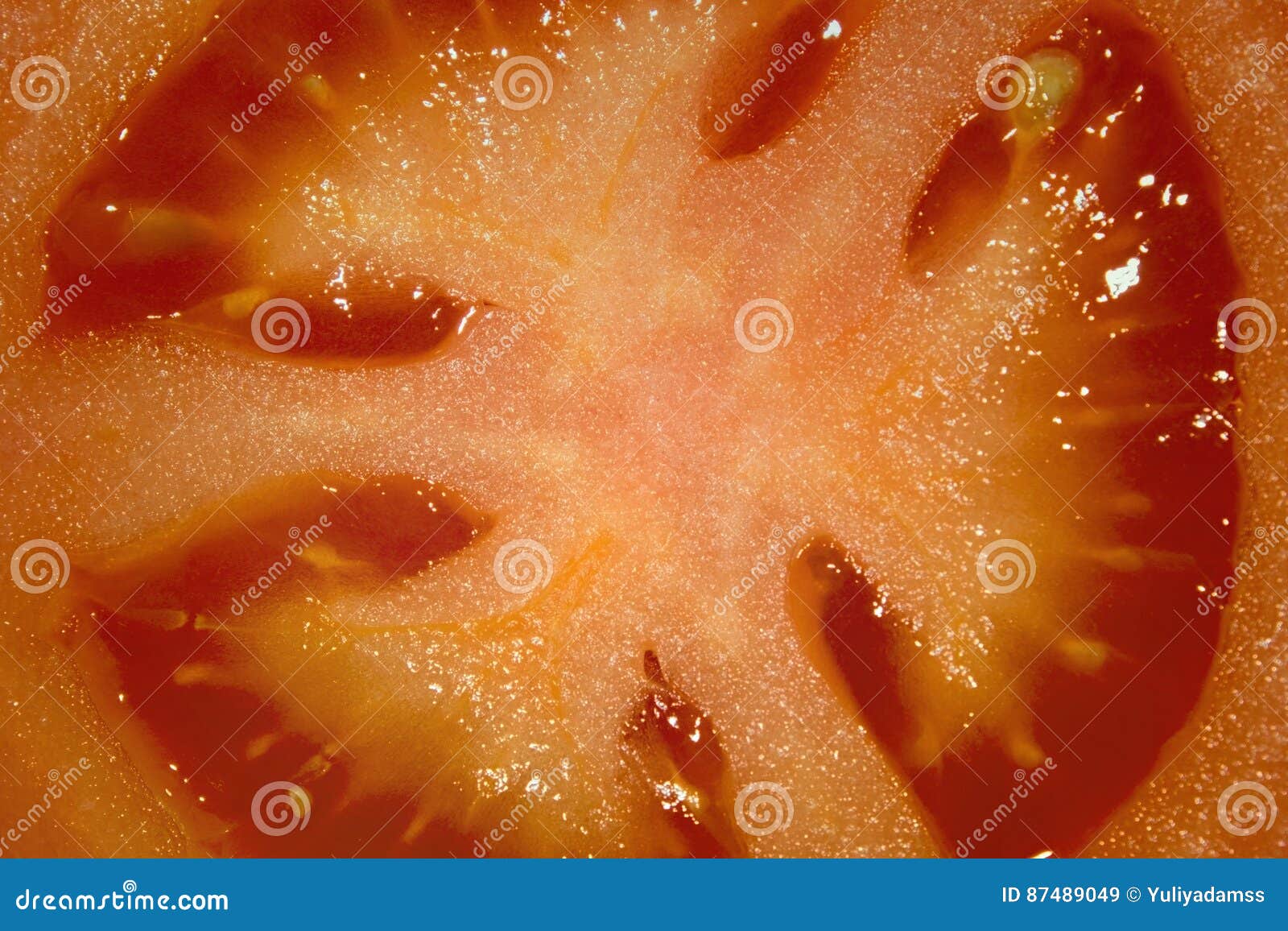 Cut tomato stock image. Image of bright, plant, health - 87489049
