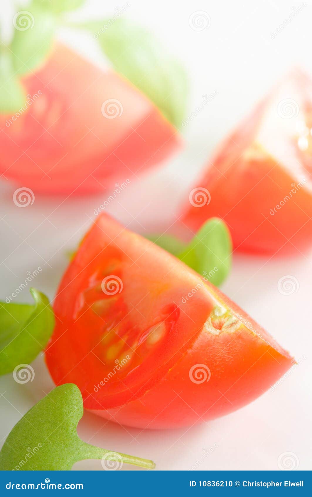 Cut Tomatoes stock photo. Image of green, tomatoes, herb - 10836210