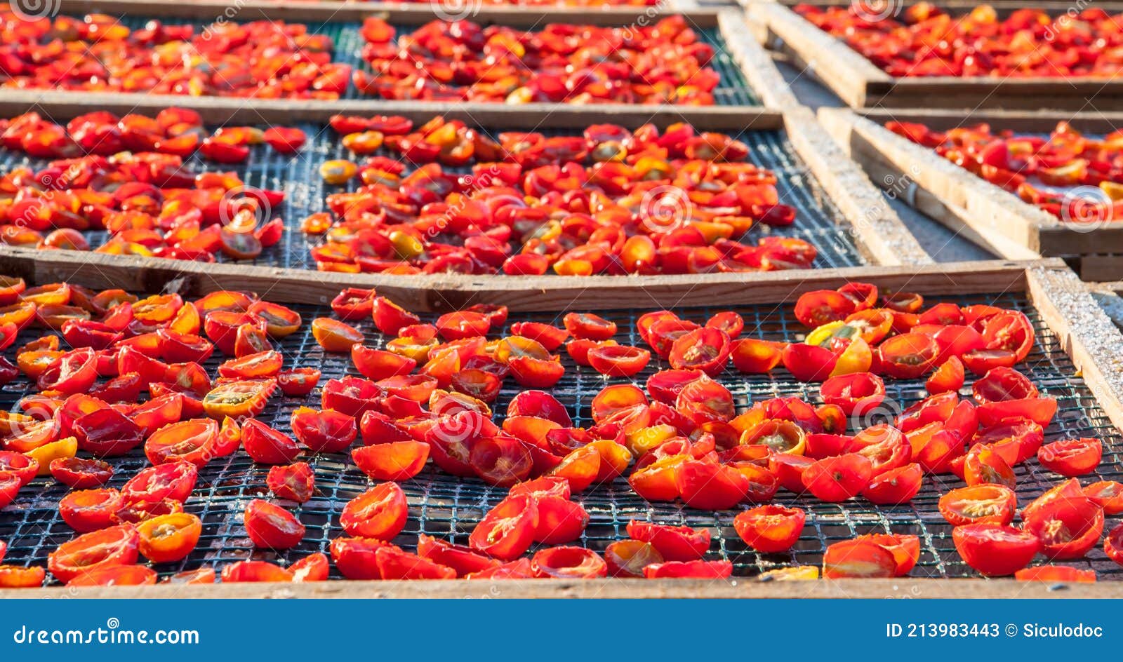 Sun-dried tomatoes stock image. Image of agricultural - 213983443