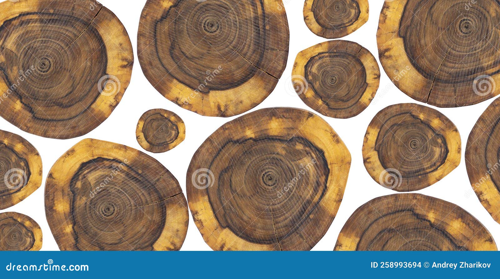 A Cut of a Tree. Annual Rings on Trees. Texture. on a White Background ...