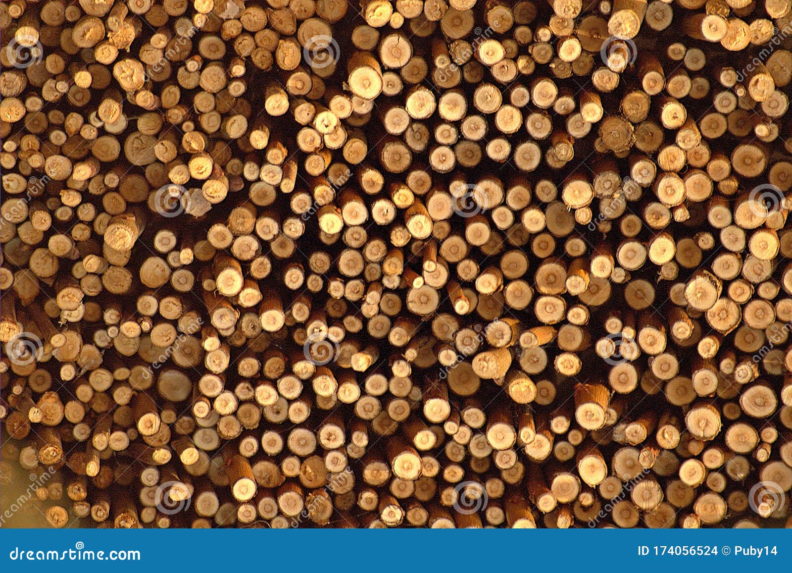 Cut Tree Branches Background Stock Photo - Image of texture, brown ...