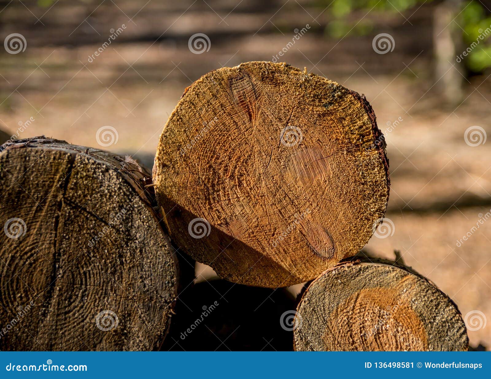 7,843 Branches Pile Photos - Free & Royalty-Free Stock Photos from ...