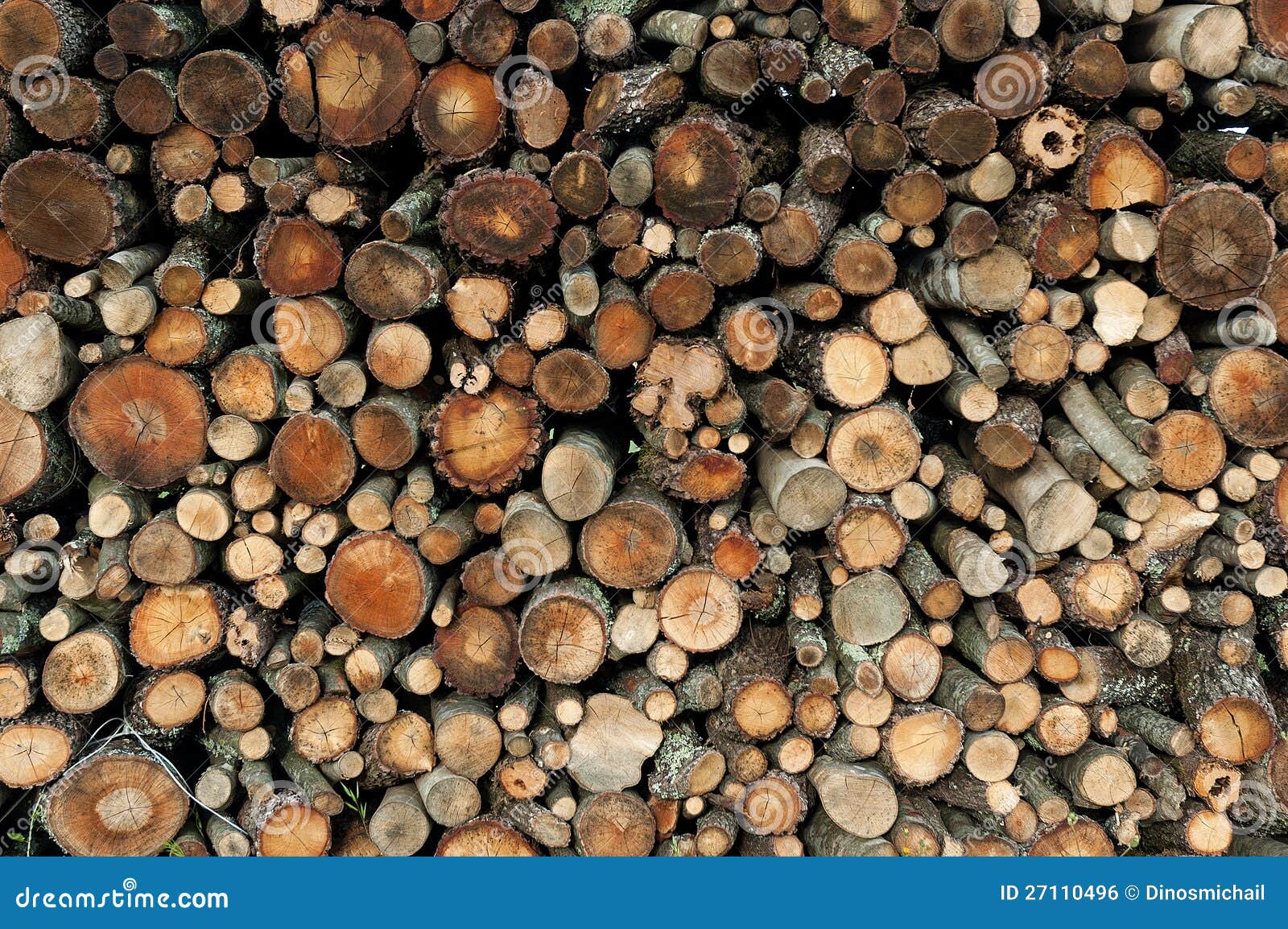 Cut tree logs stock photo. Image of flora, firewood, industry - 27110496