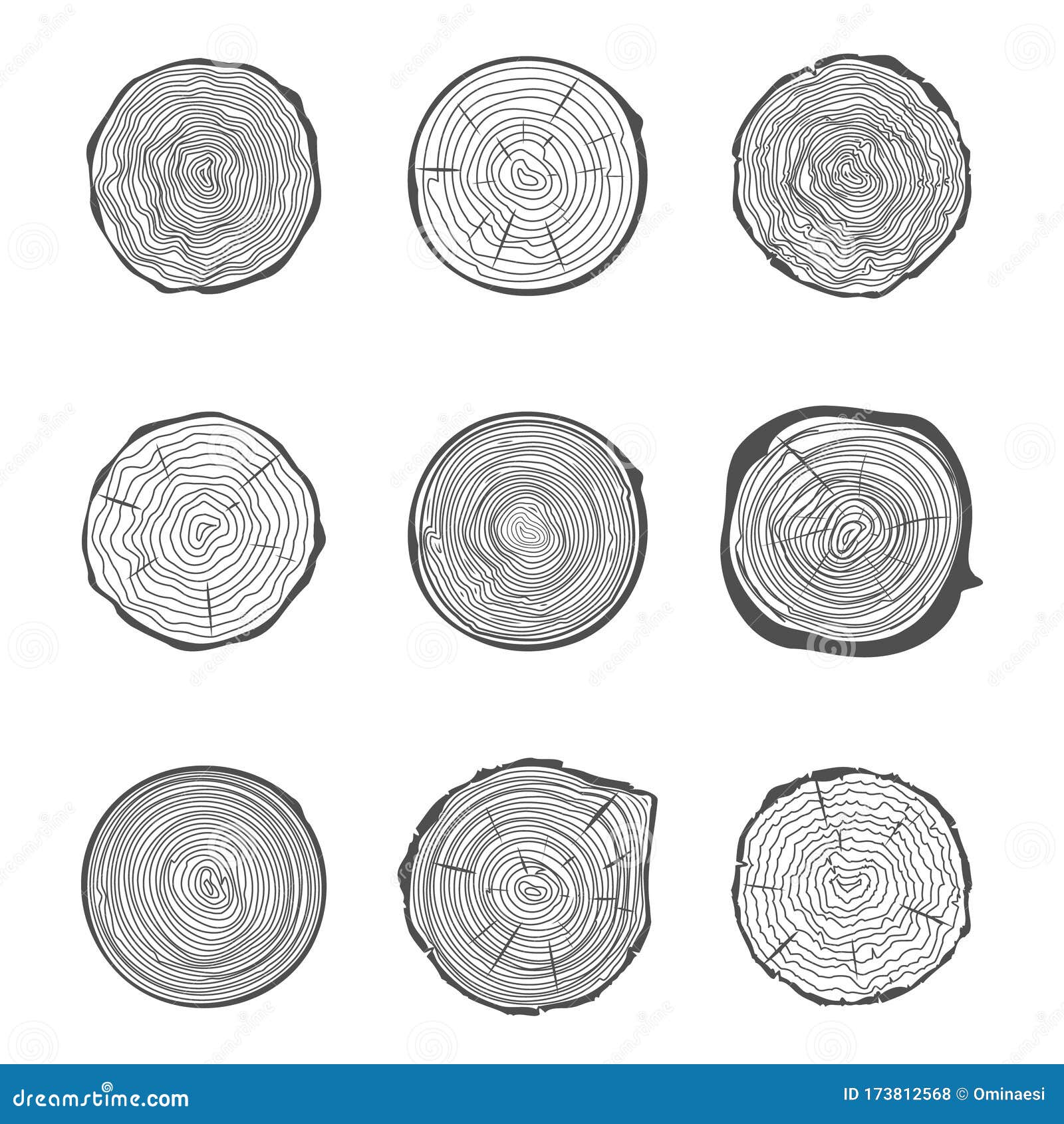 Cut Tree Rings Background Saw Cut Tree Trunk Natural Decorative Design Set Vector Illustration ...