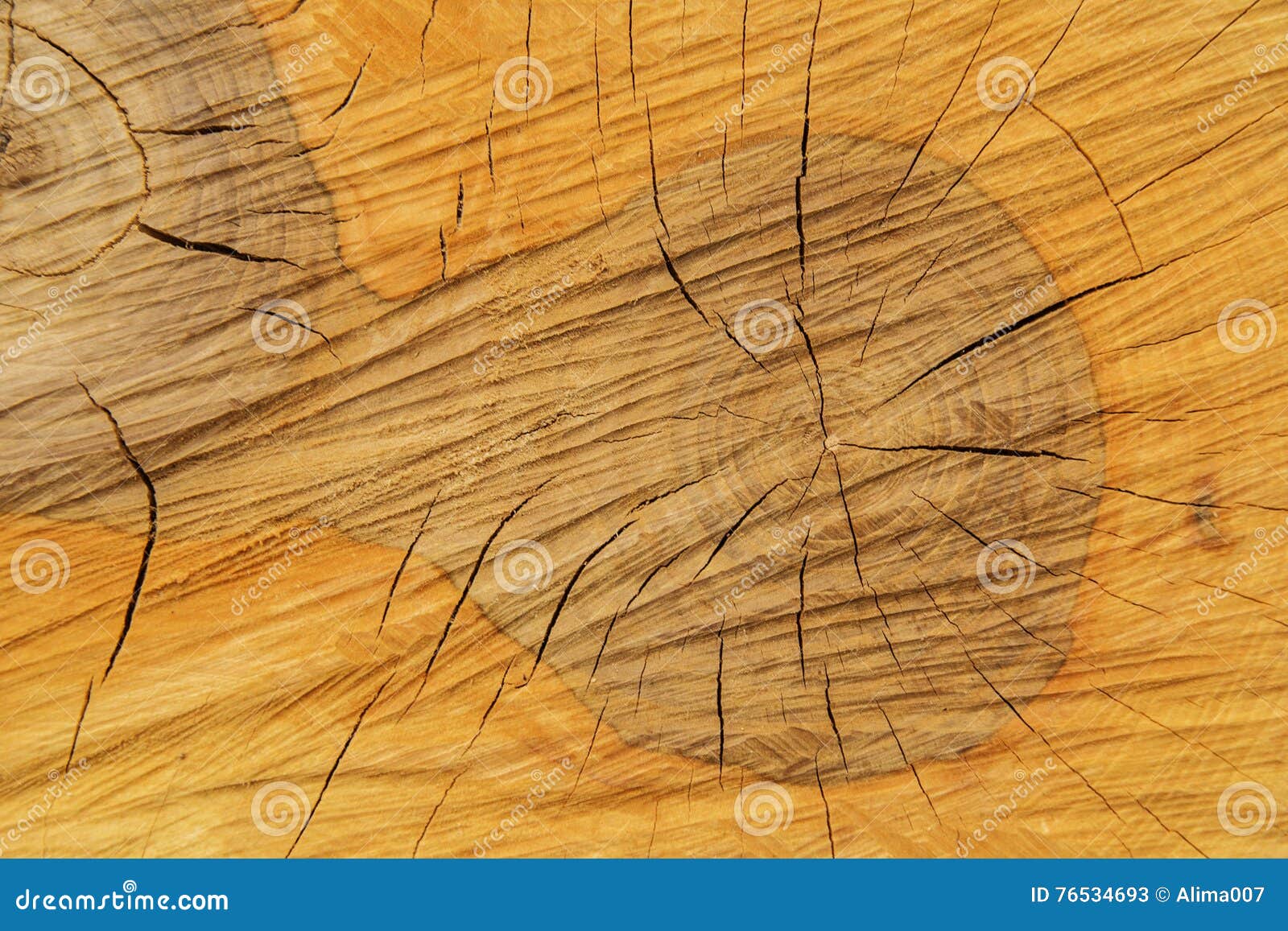 Teo Colors Stock Photos - Free & Royalty-Free Stock Photos from Dreamstime