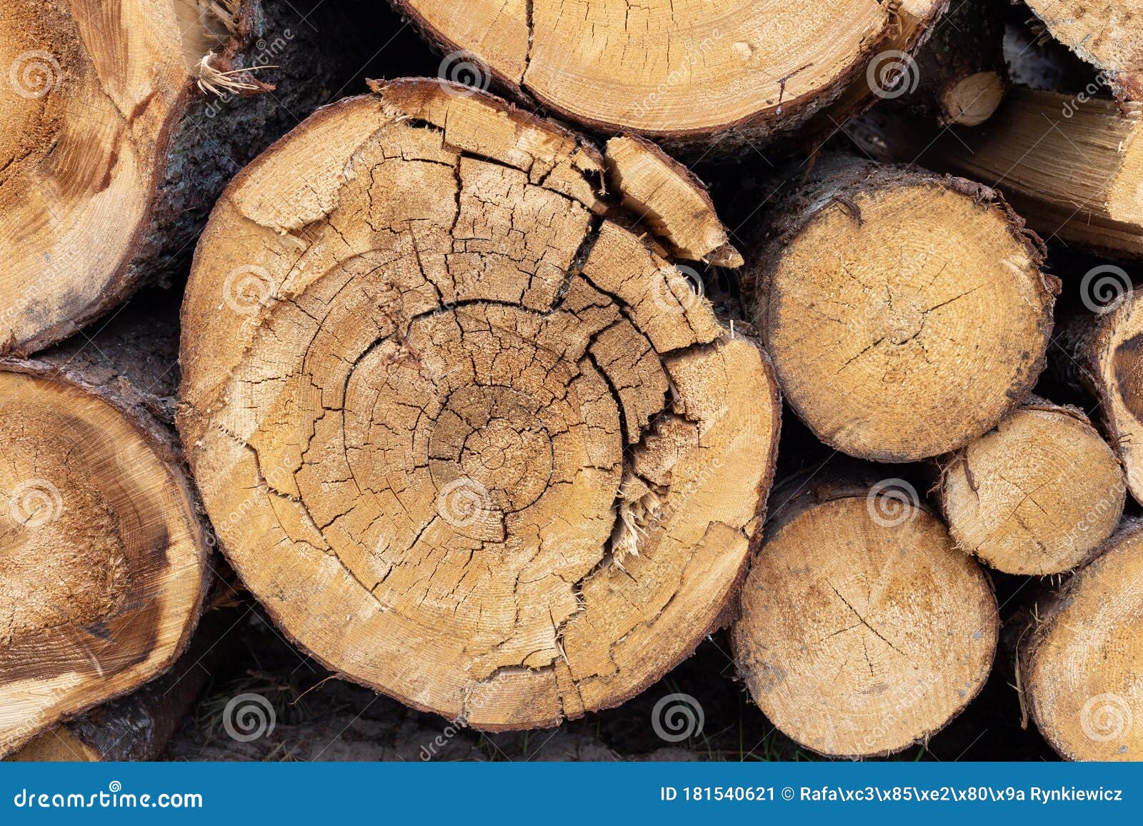 Cut tree trunks stacked up stock image. Image of natural - 181540621