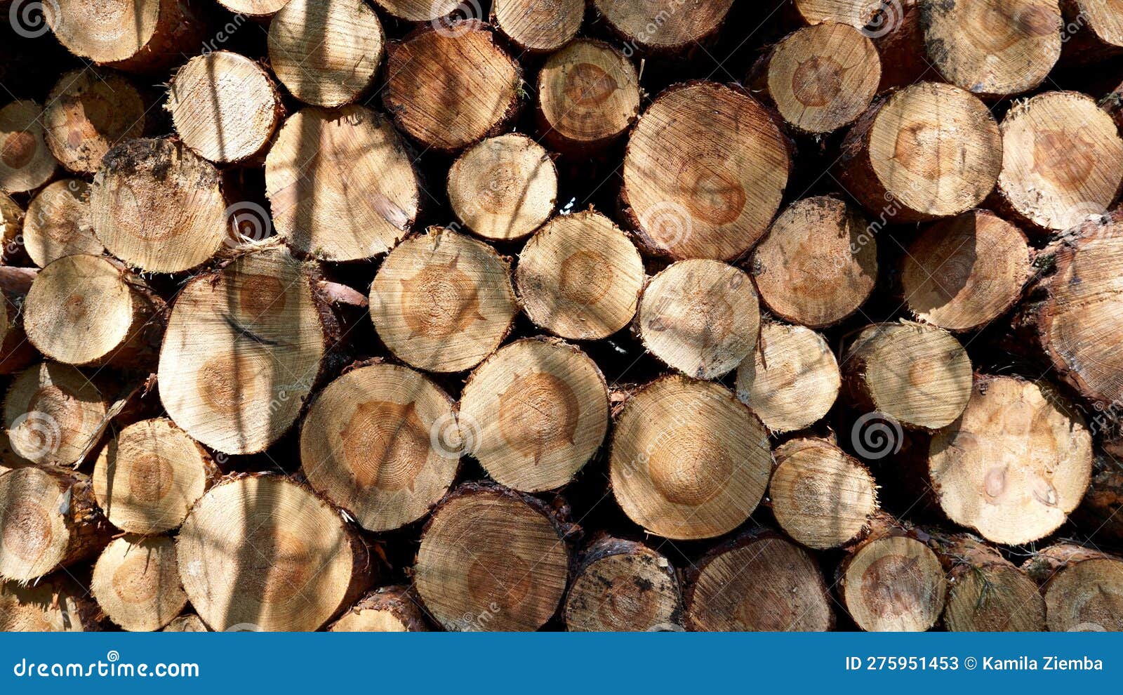 Cut Tree Trunks Wooden Wallpaper Stock Image - Image of wood, rock ...