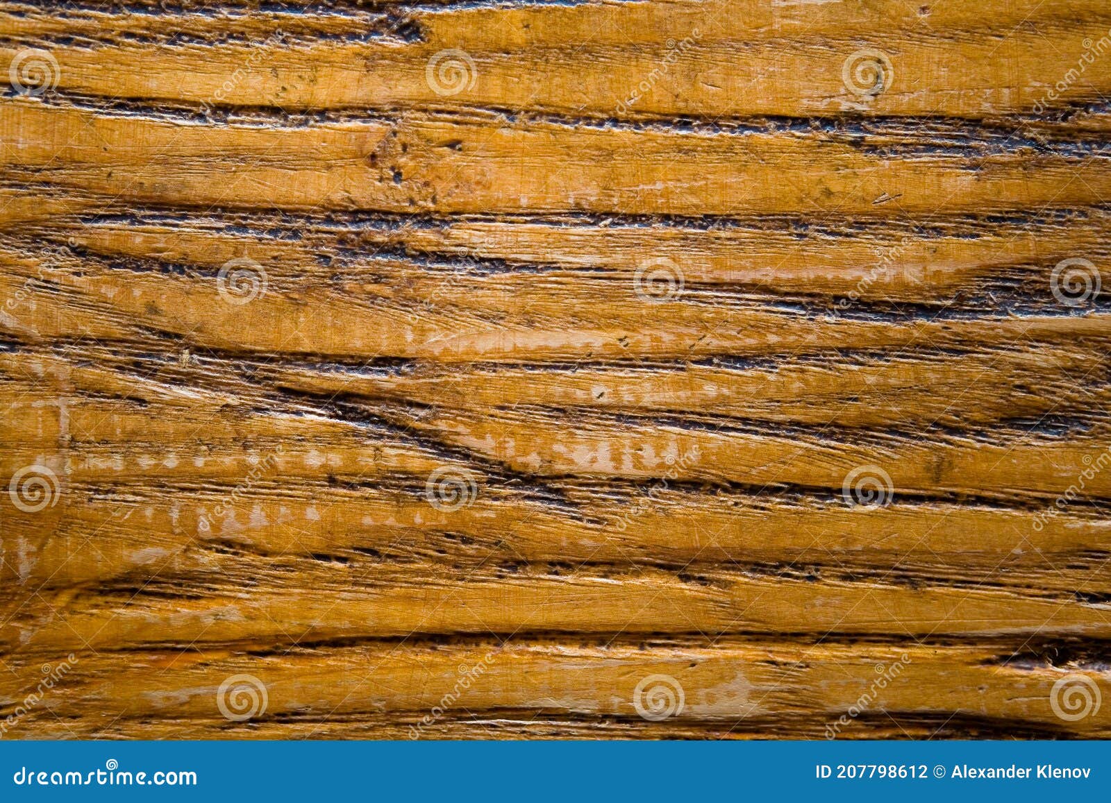 A Cut of a Tree with a Unique Pattern Stock Photo - Image of pattern ...