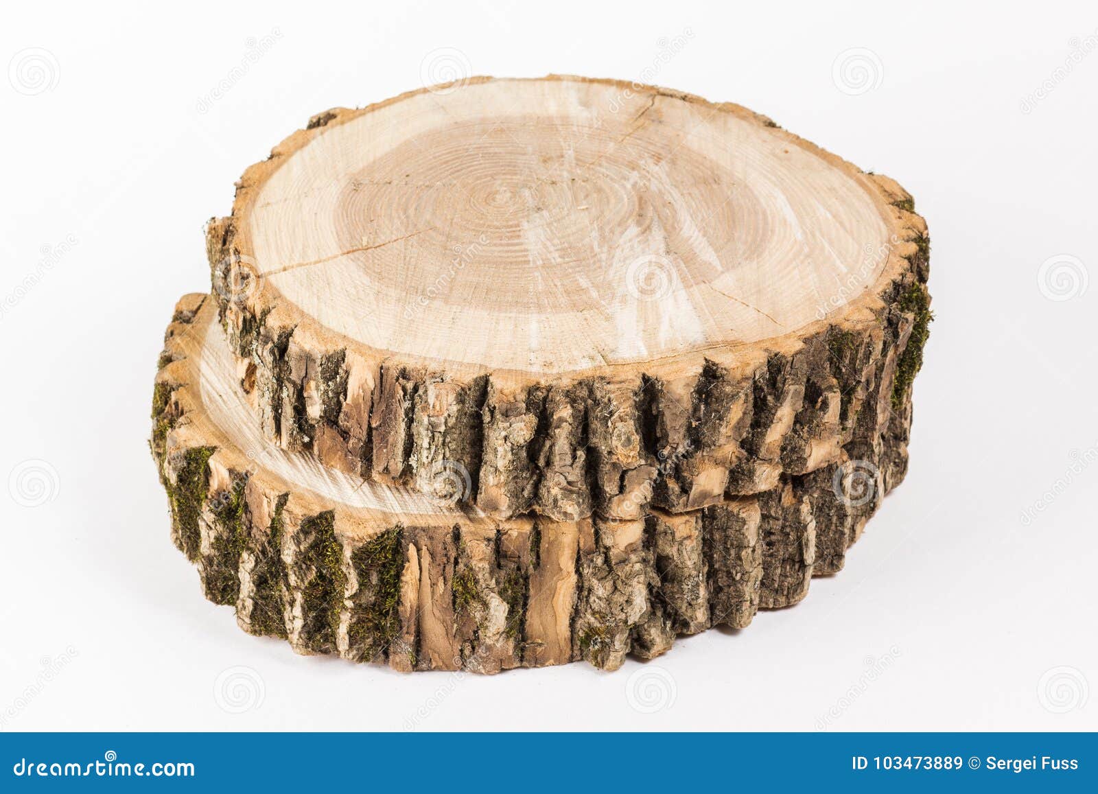 Cut Tree on White Background. Wooden Tray Stock Image - Image of food ...