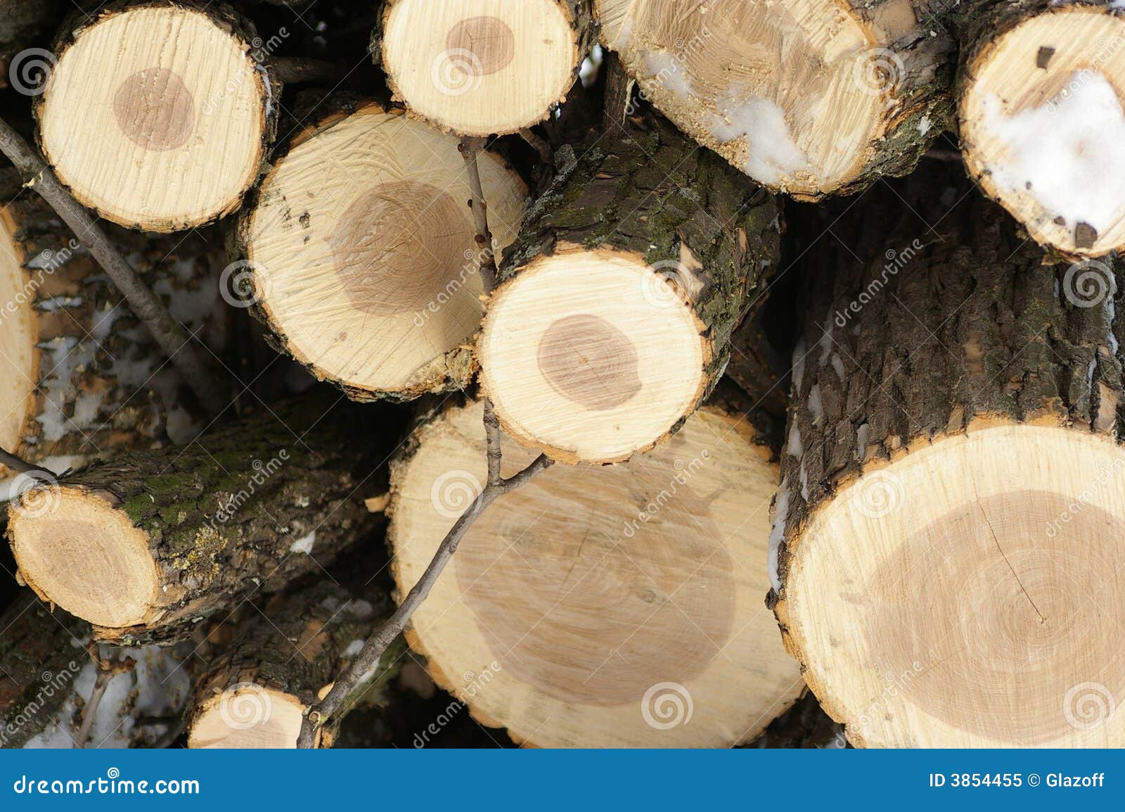 Cut Trees Picture. Image: 3854455