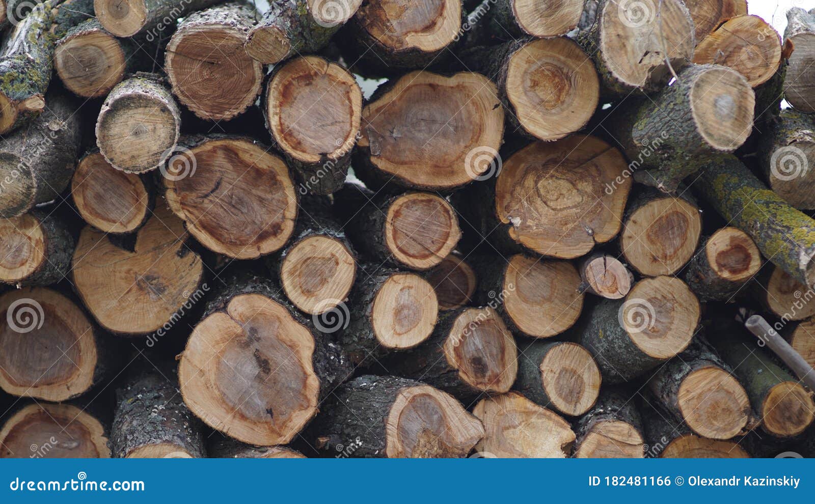 Cut of Trees, Beautiful Wooden Structure Outdoor Stock Photo - Image of ...