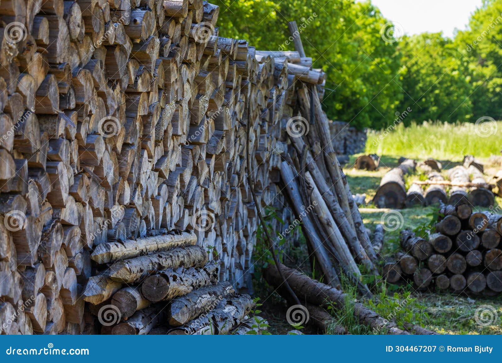 Cut Trees for Logs are Stacked and Prepared for Heating Stock Image ...