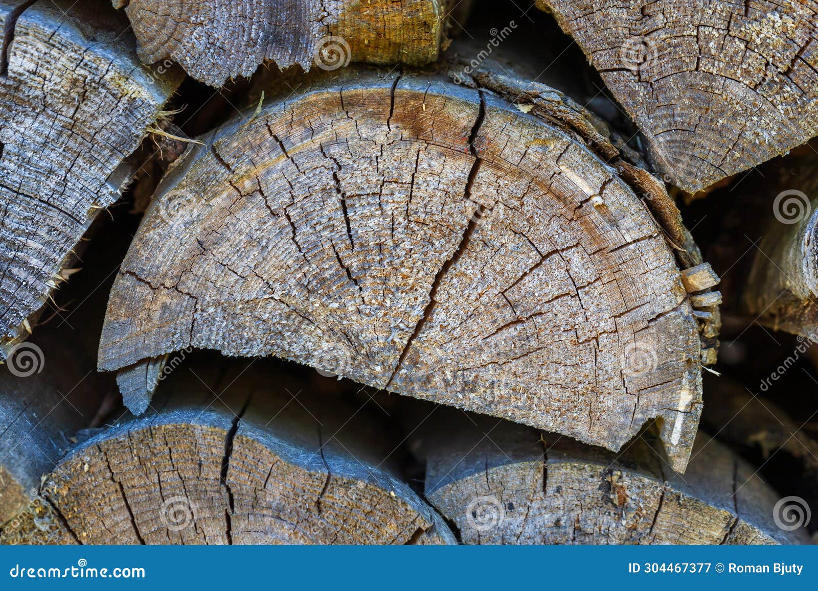 Cut Trees for Logs are Stacked and Prepared for Heating Stock Image ...